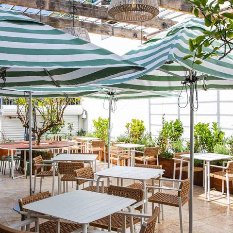 Camelia Grove Hotel, Alexandria Review