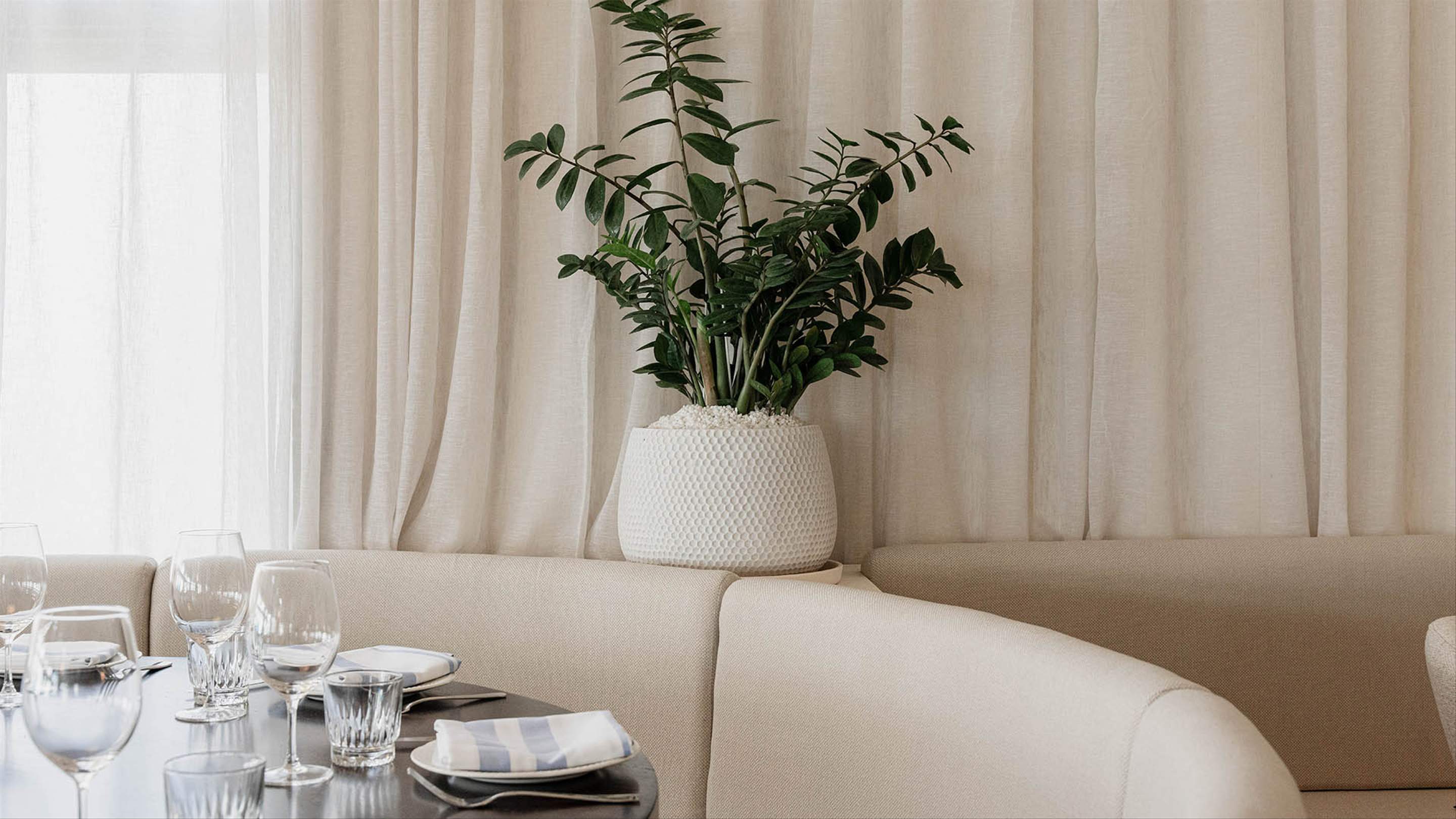 Fosh Bar & Restaurant, Hamilton Review