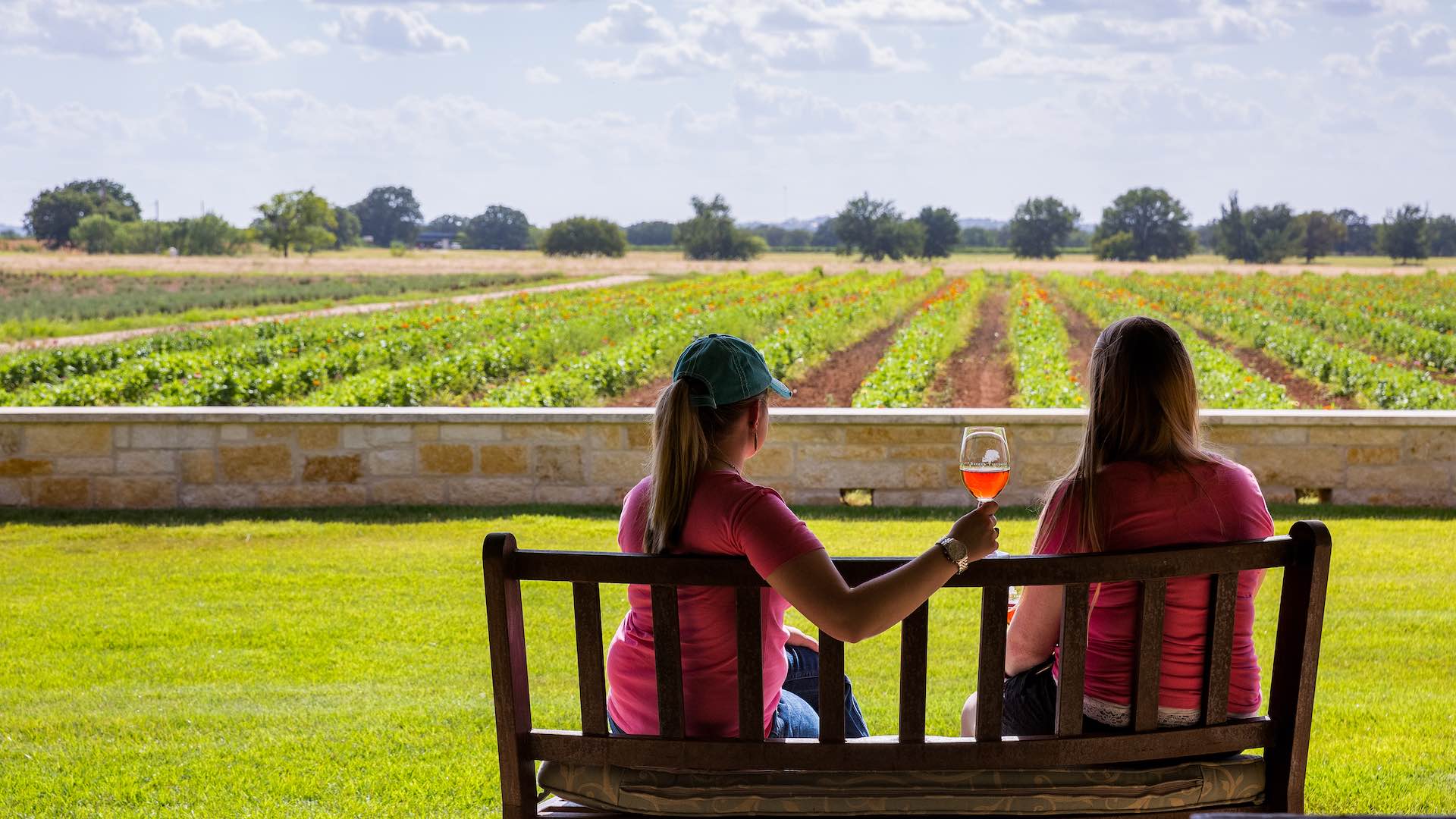 A Guide to the Texas Wine Industry - Concrete Playground