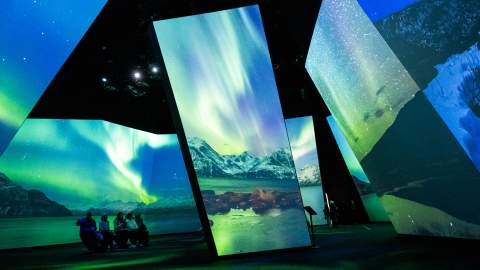 BBC Earth Is Bringing a Spectacular Immersive Experience with Narration ...
