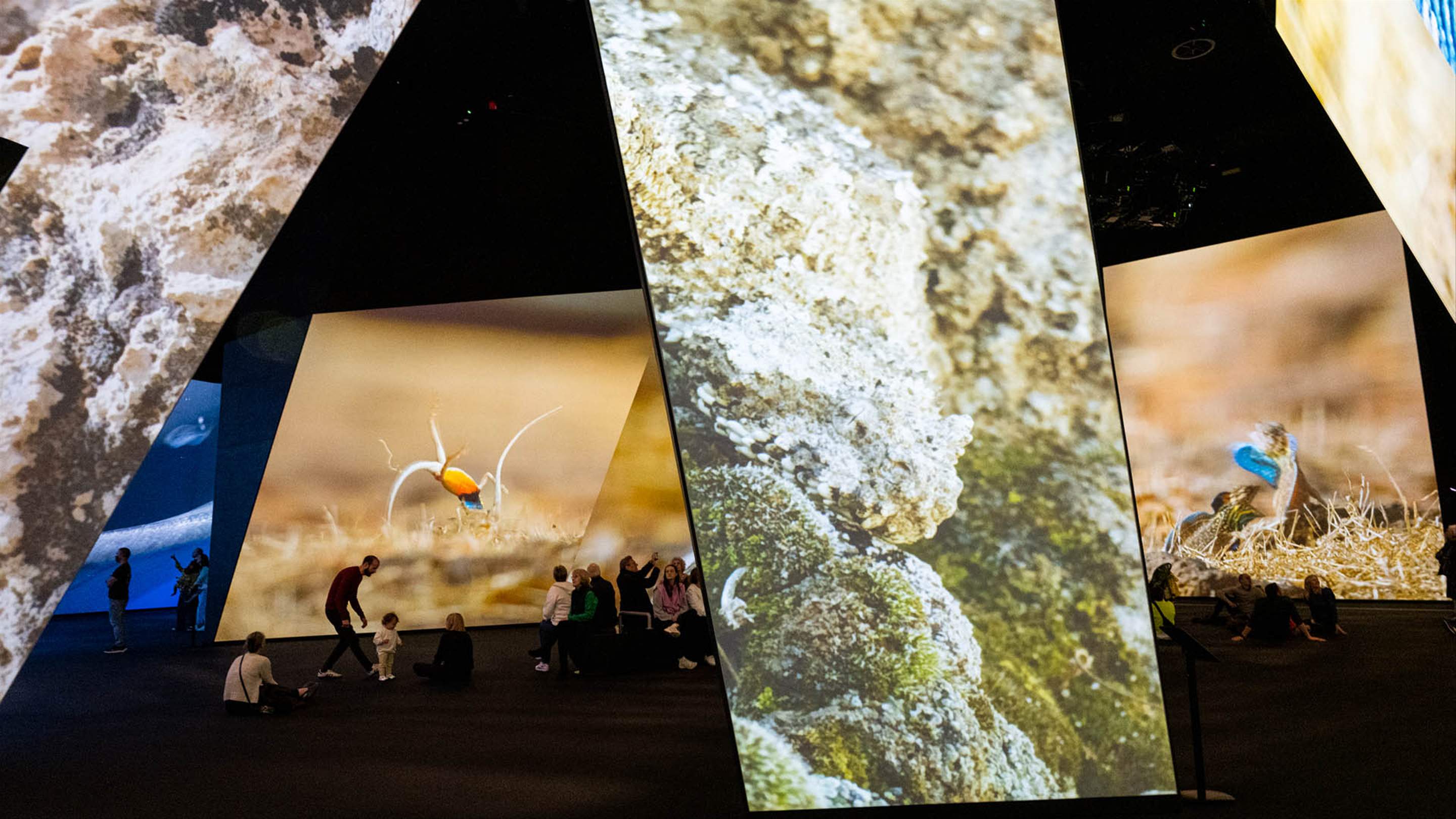 BBC Earth Is Bringing a Spectacular Immersive Experience with Narration ...