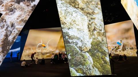 BBC Earth Is Bringing a Spectacular Immersive Experience with Narration ...