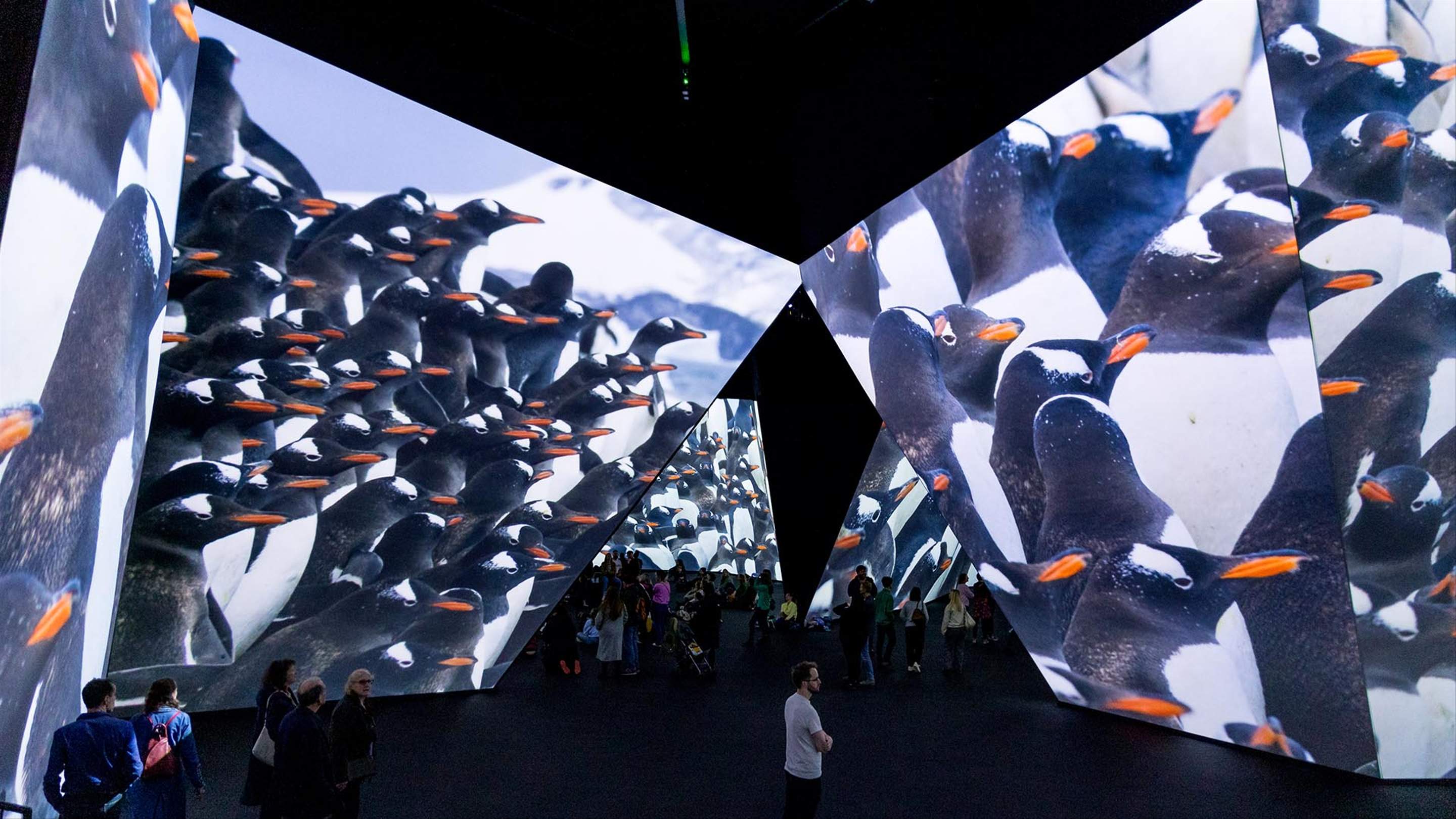 BBC Earth Is Bringing a Spectacular Immersive Experience with Narration ...