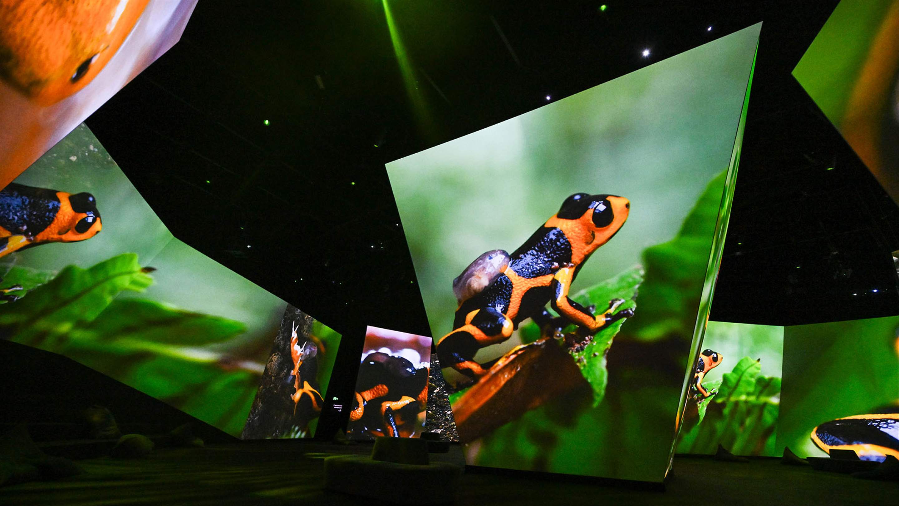 BBC Earth Experience - Concrete Playground