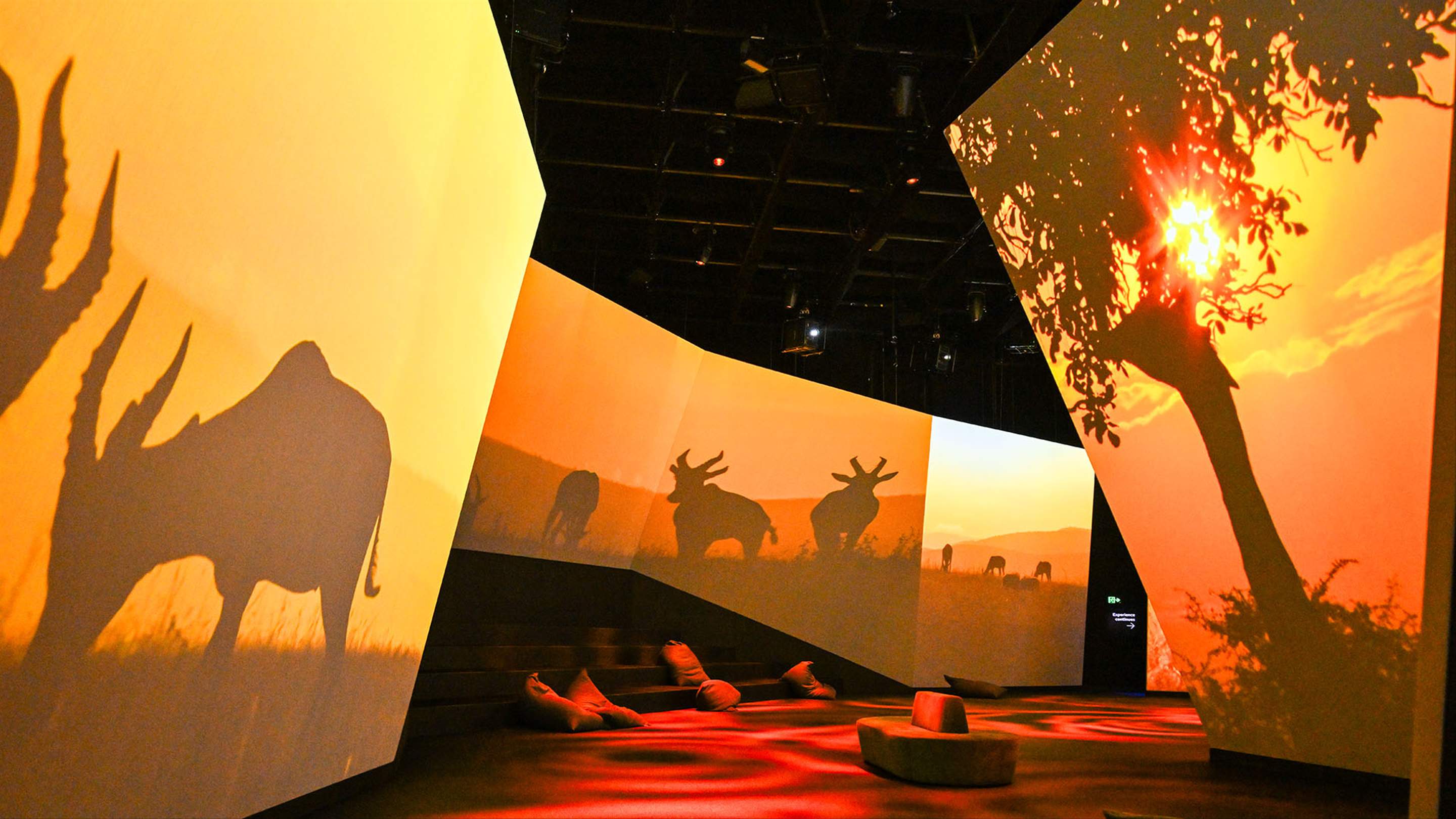 BBC Earth Experience - Concrete Playground