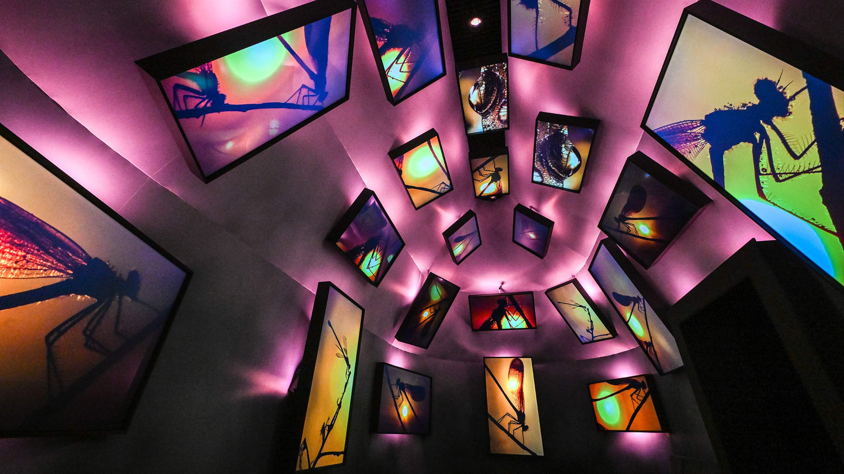 BBC Earth Experience - Concrete Playground