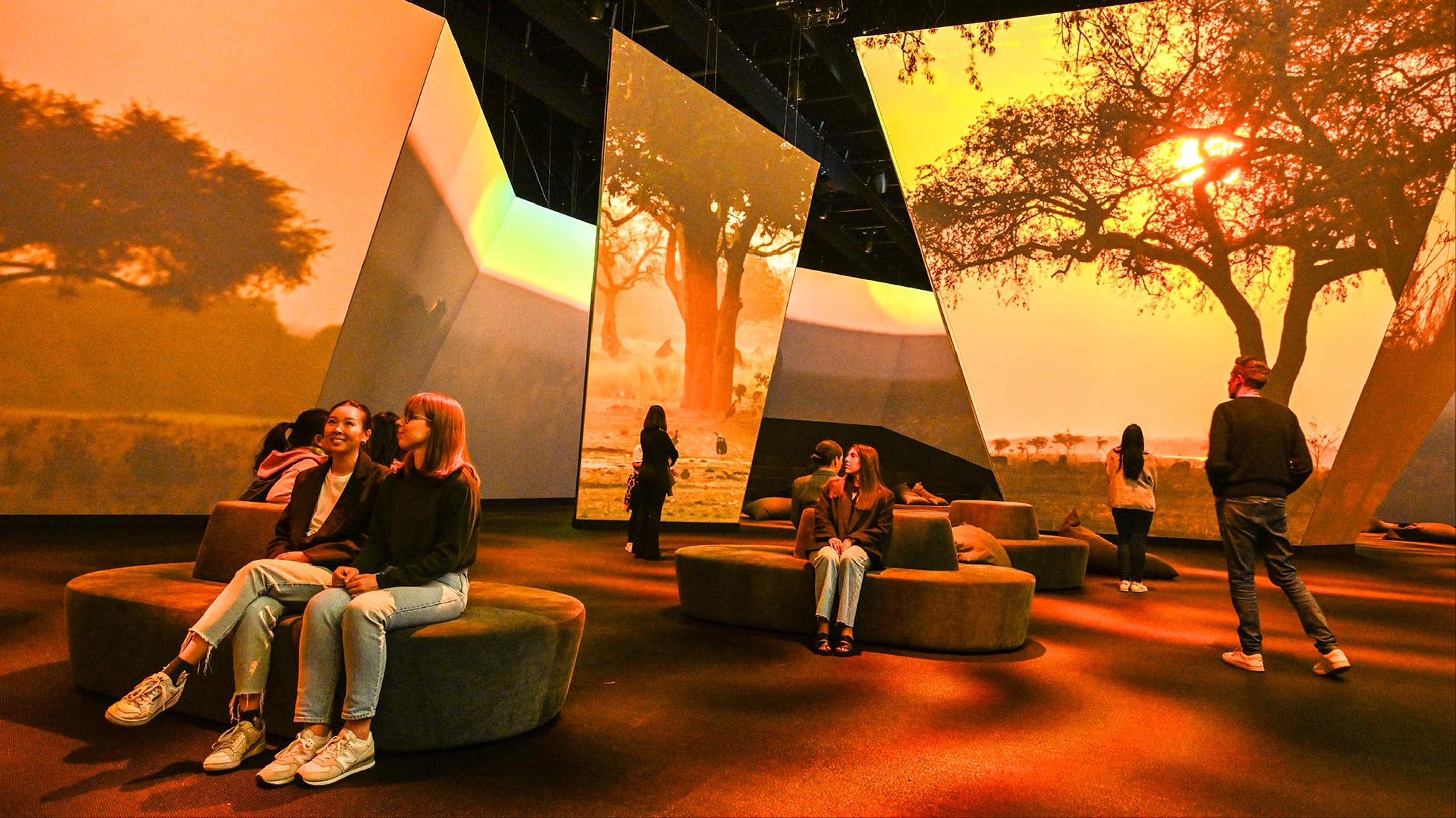 BBC Earth Experience - Concrete Playground