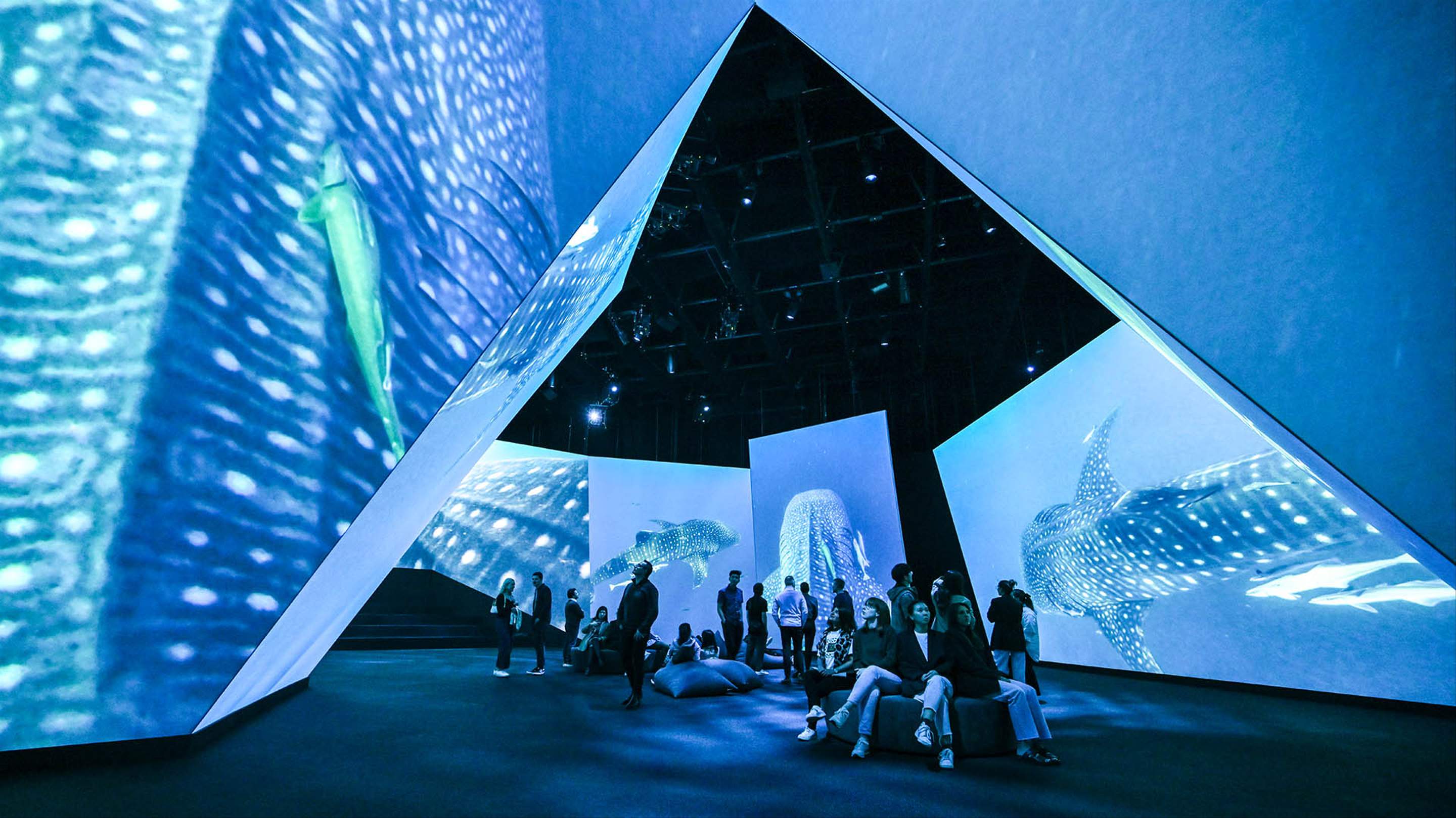 BBC Earth Experience - Concrete Playground