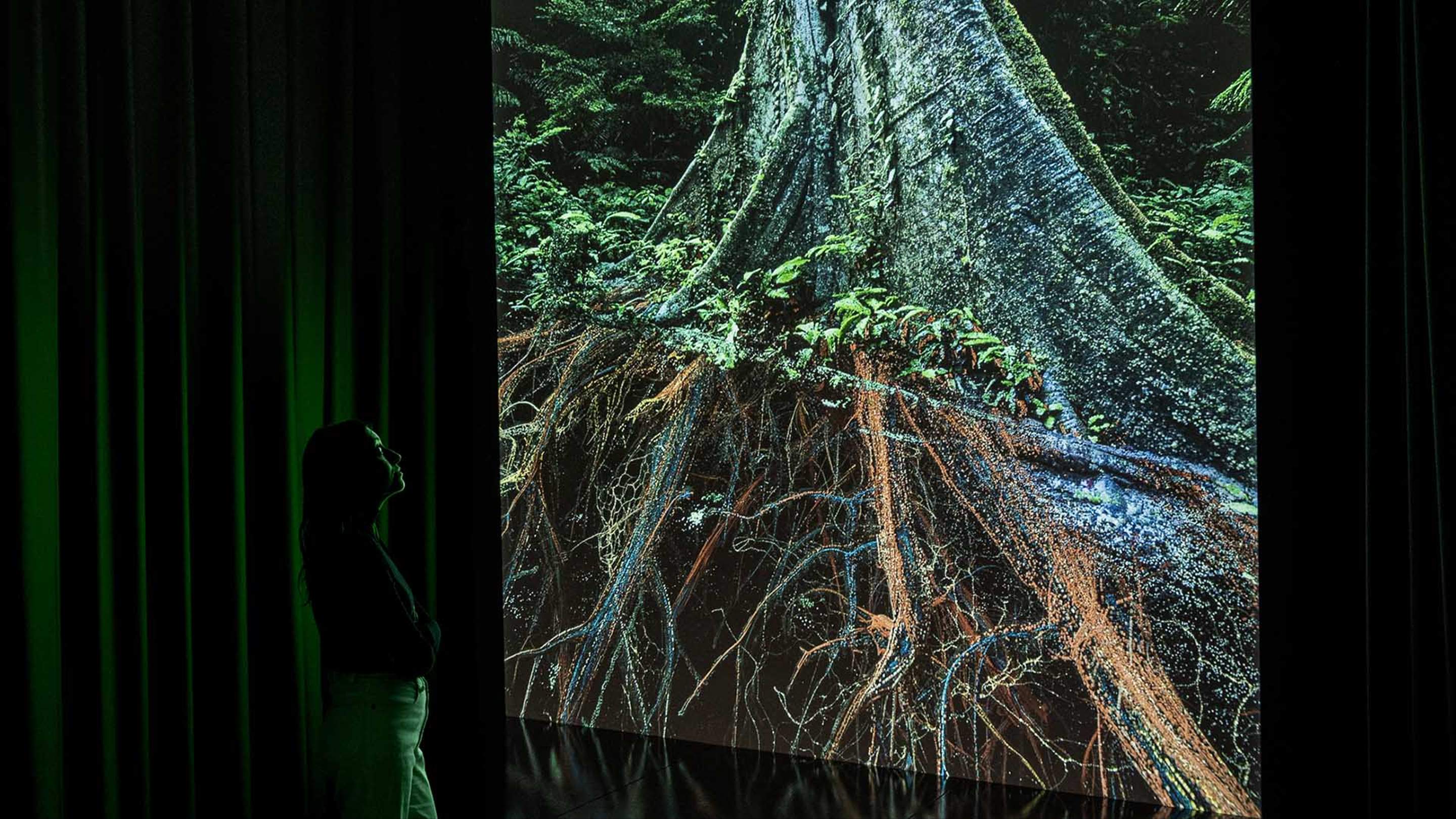 Marshmallow Laser Feast: Works of Nature - Concrete Playground