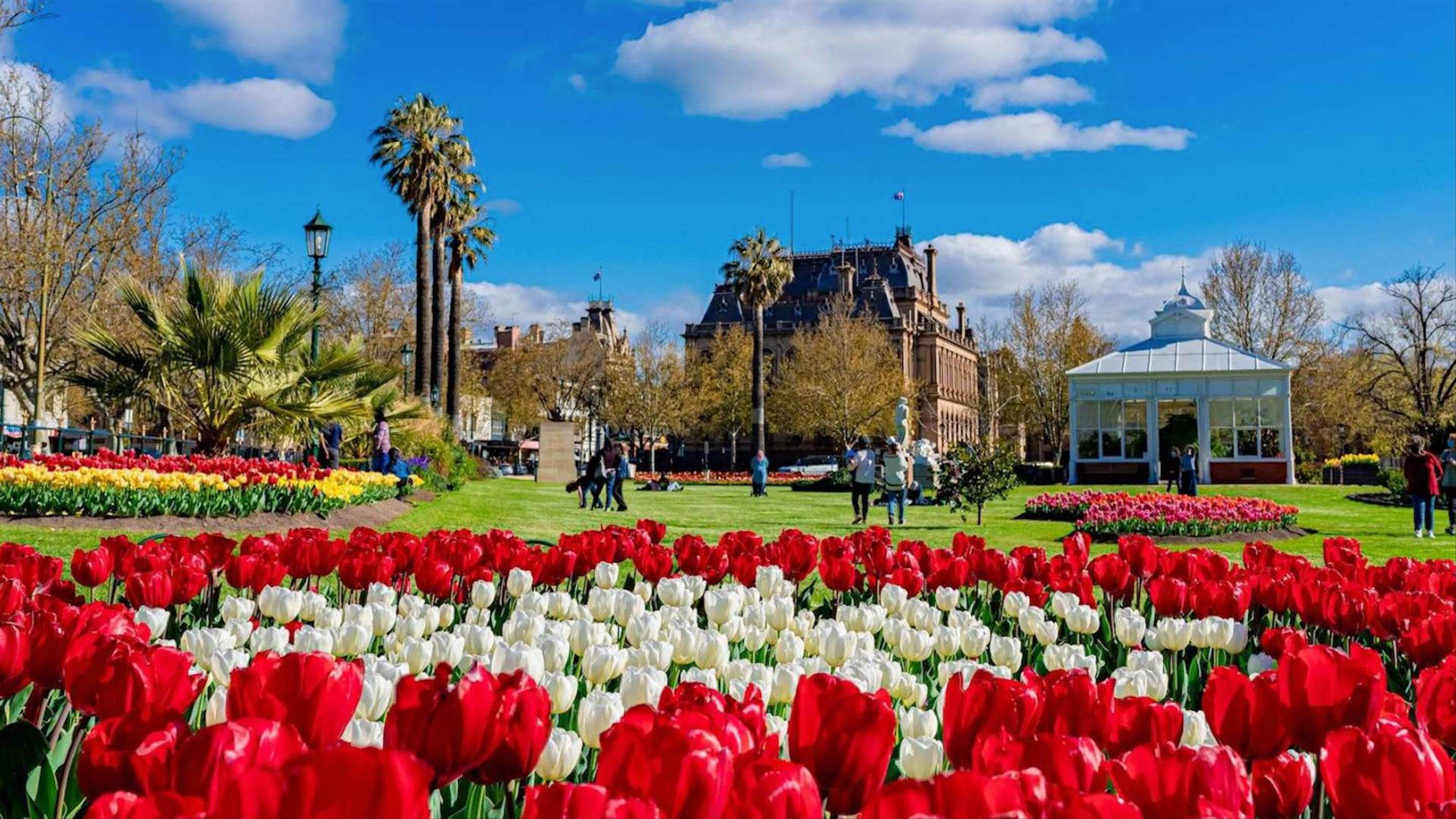 Bendigo Bloom Is Back for Its 20th Anniversary with Food, Wine, Comedy ...