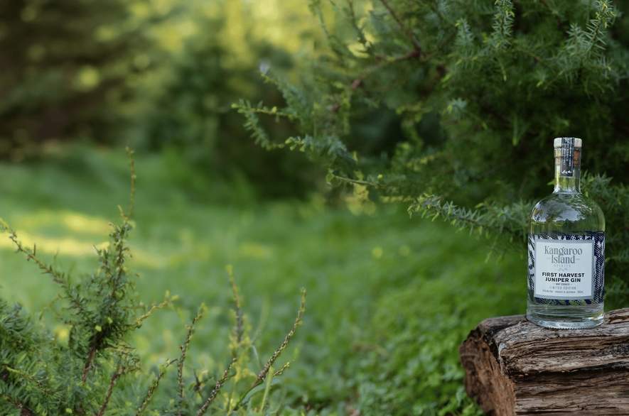 Free Shipping on Kangaroo Island Spirits' First Harvest Juniper Gin
