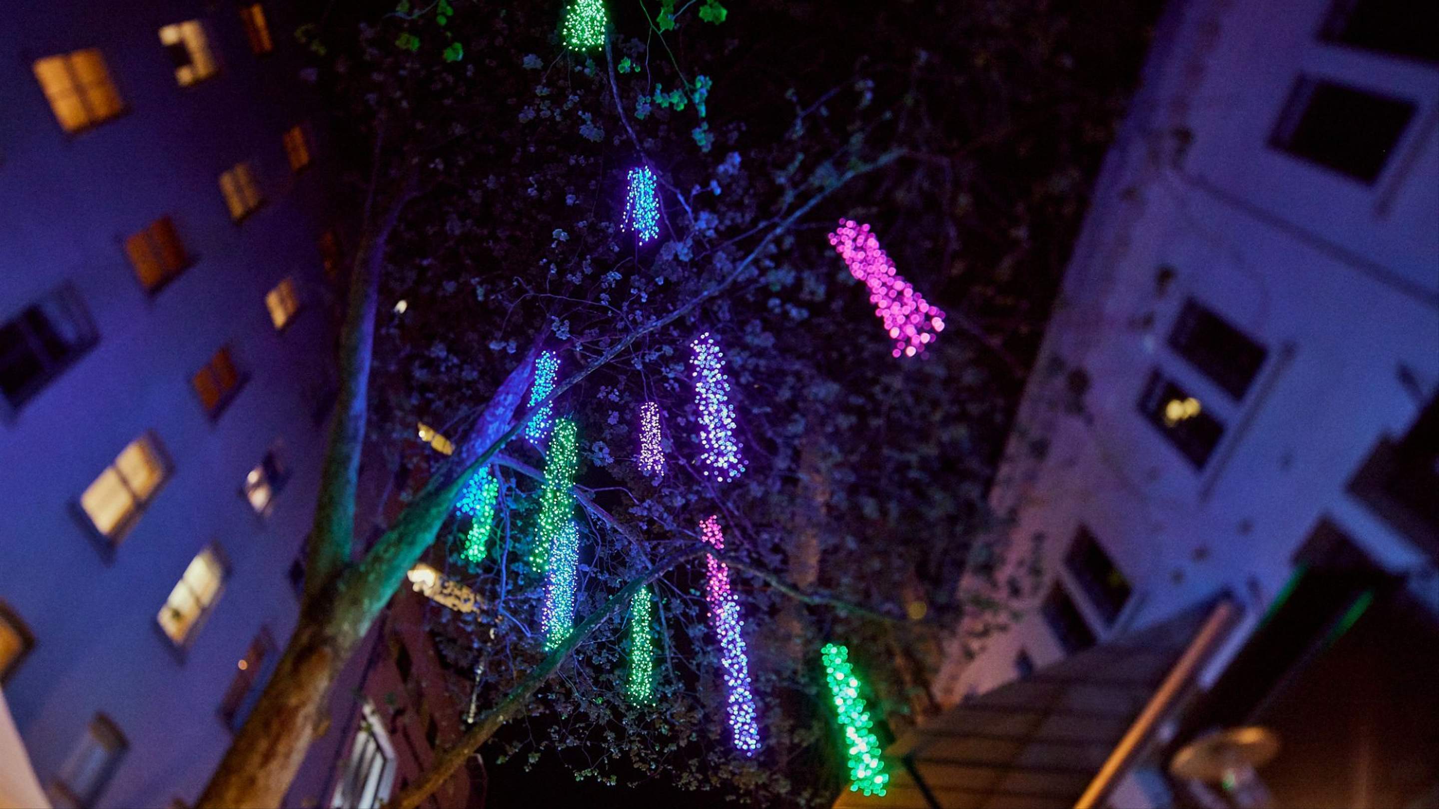 Auckland's ArtWeek in the City Centre Is Returning for 2023 with Ten ...