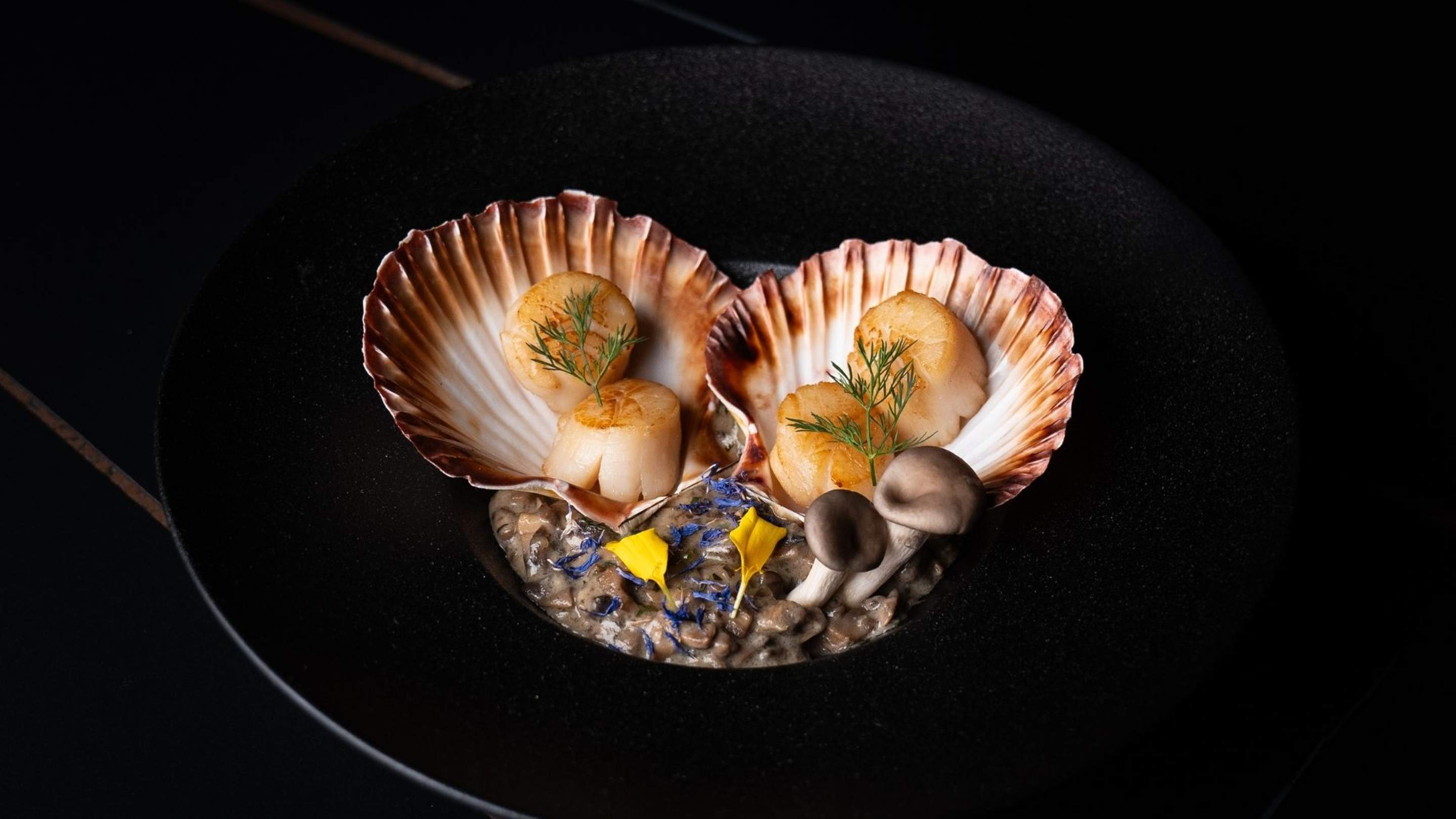Oribu, Parramatta Review