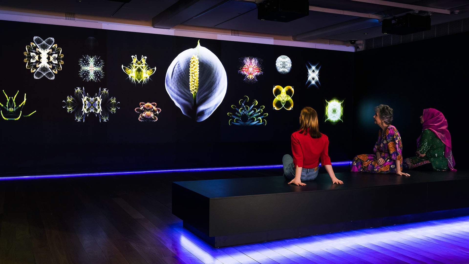 'Rearranged: Art of the Flower' Is the Vibrant New Floral Exhibition ...