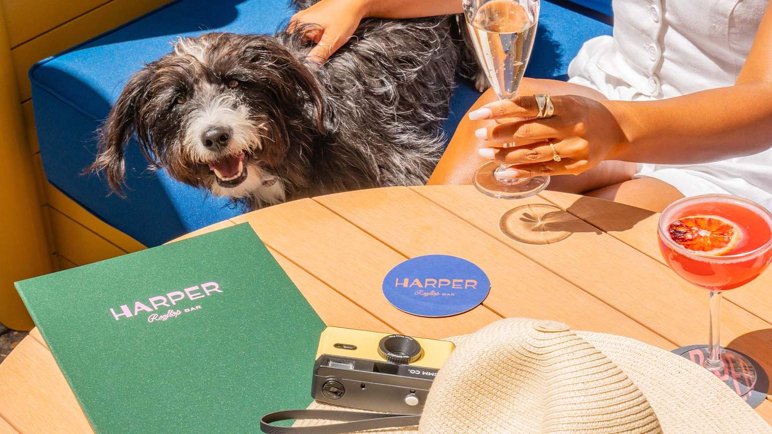 Harper Rooftop Bar, Sydney Review