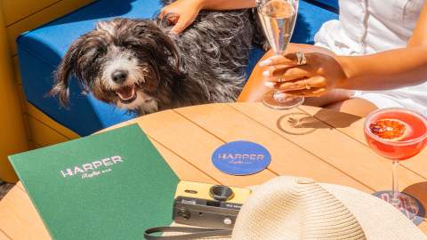 Harper Rooftop Bar, Sydney Review