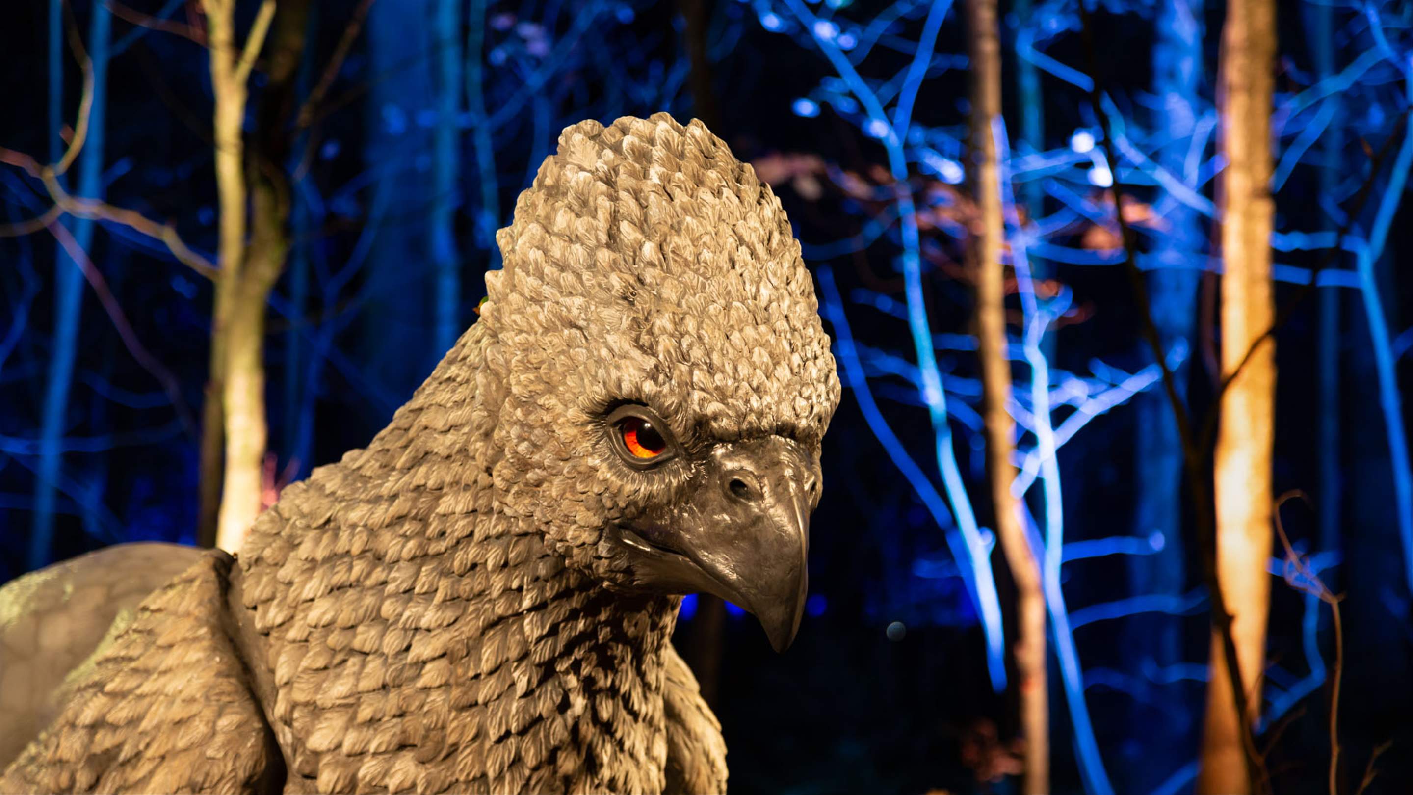 A Forbidden Forest Experience, Melbourne: All the Details