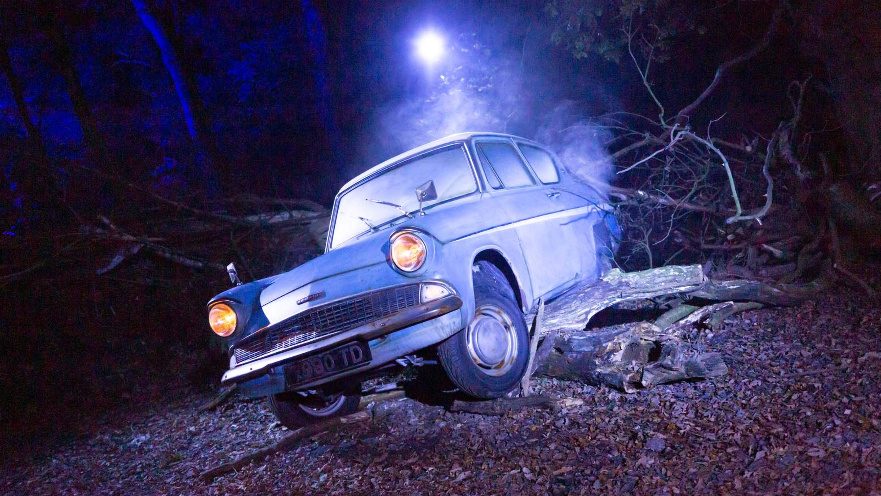 A Forbidden Forest Experience, Melbourne: All the Details