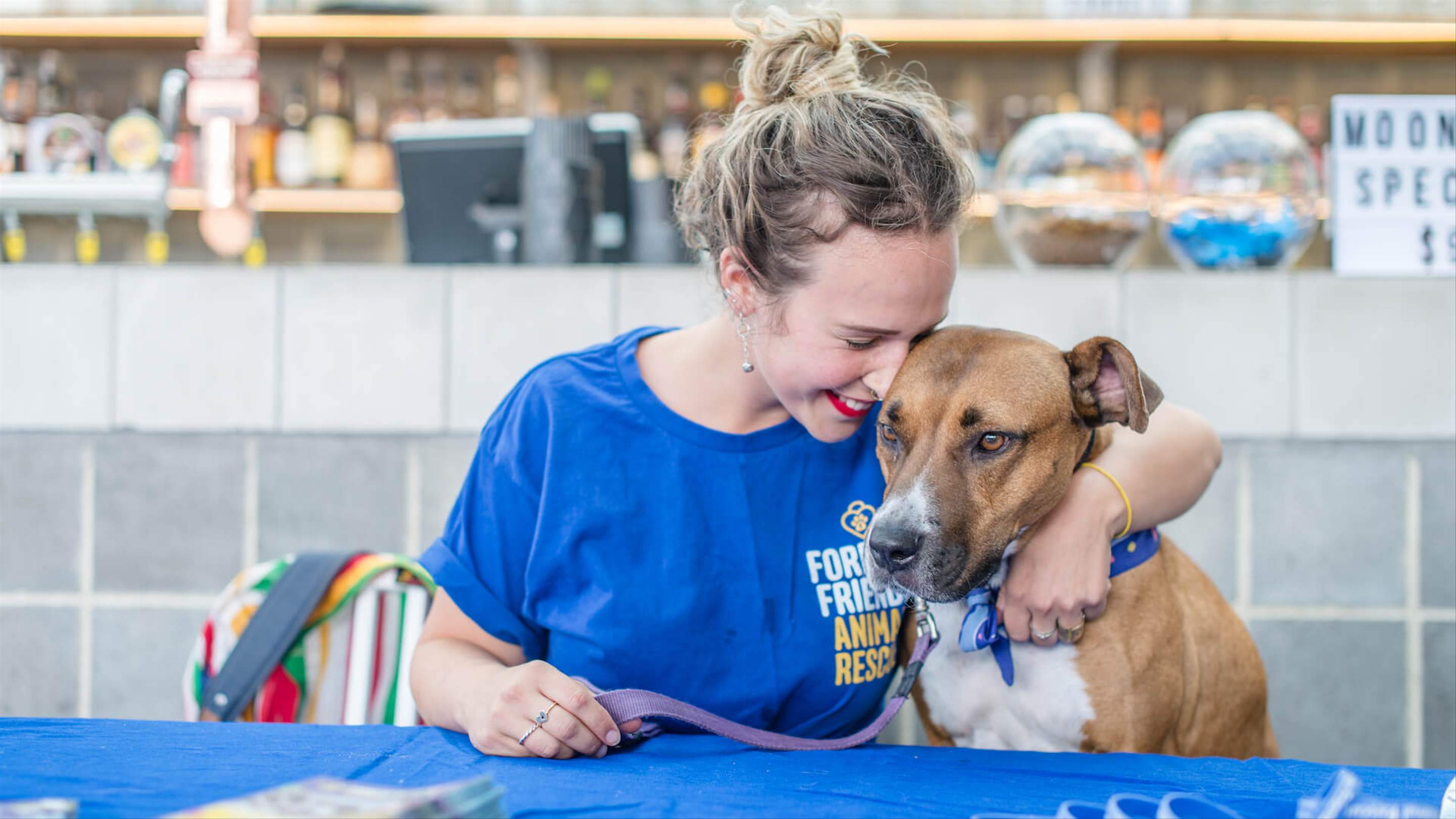 Merry Dogs of Darebin at Welcome to Thornbury