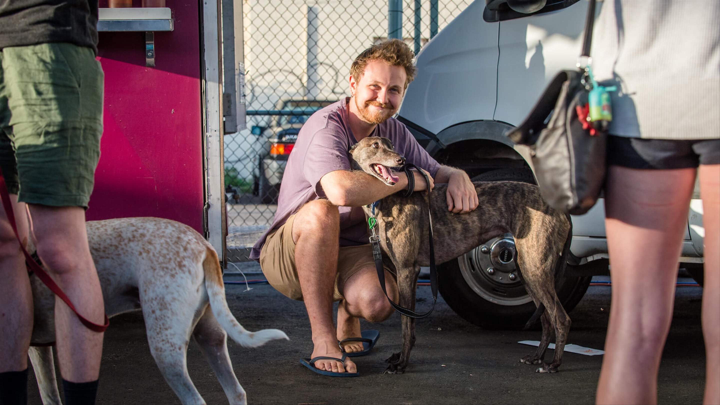 Merry Dogs of Darebin at Welcome to Thornbury