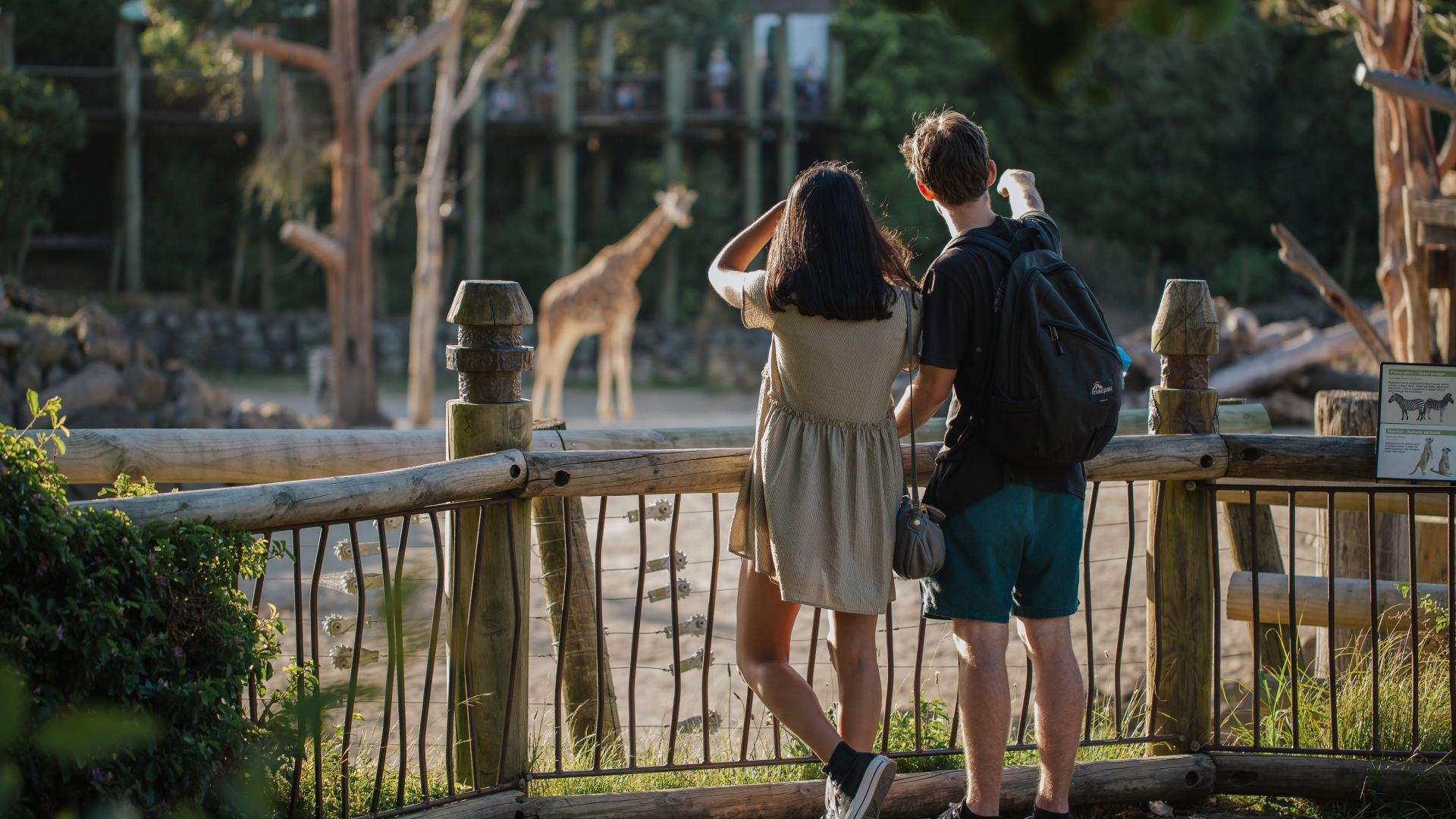 Auckland Zoo Lates 2024, Auckland