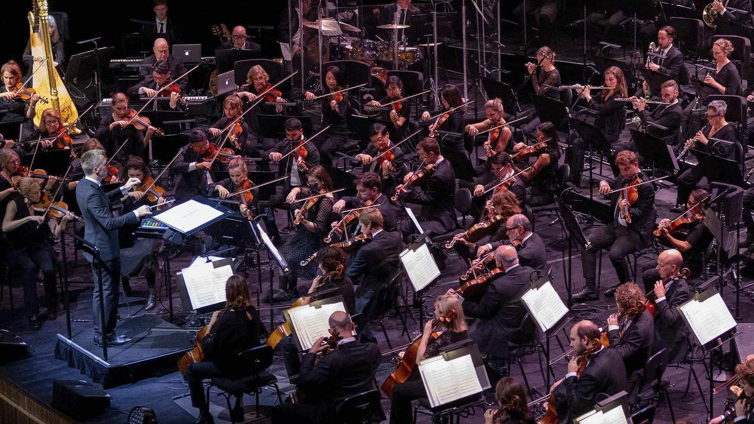 Sydney Symphony Orchestra Presents 2026 - Concrete Playground