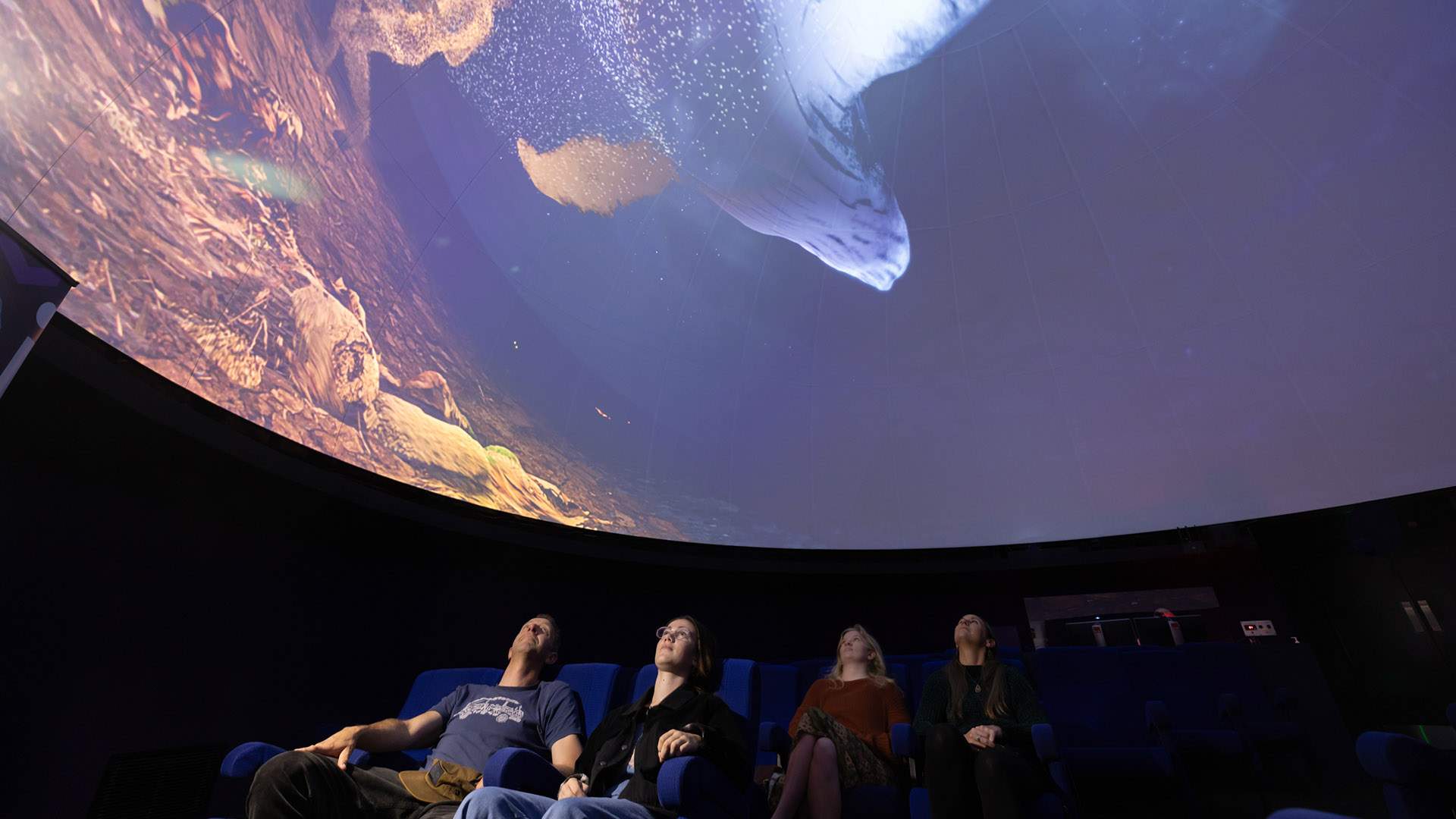 World Science Festival Brisbane: All the Details