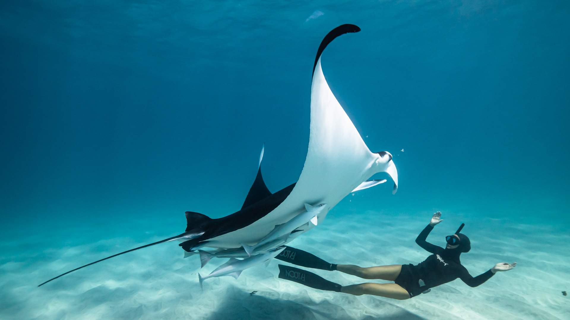 Ocean Film Festival World Tour, Brisbane: All the Details