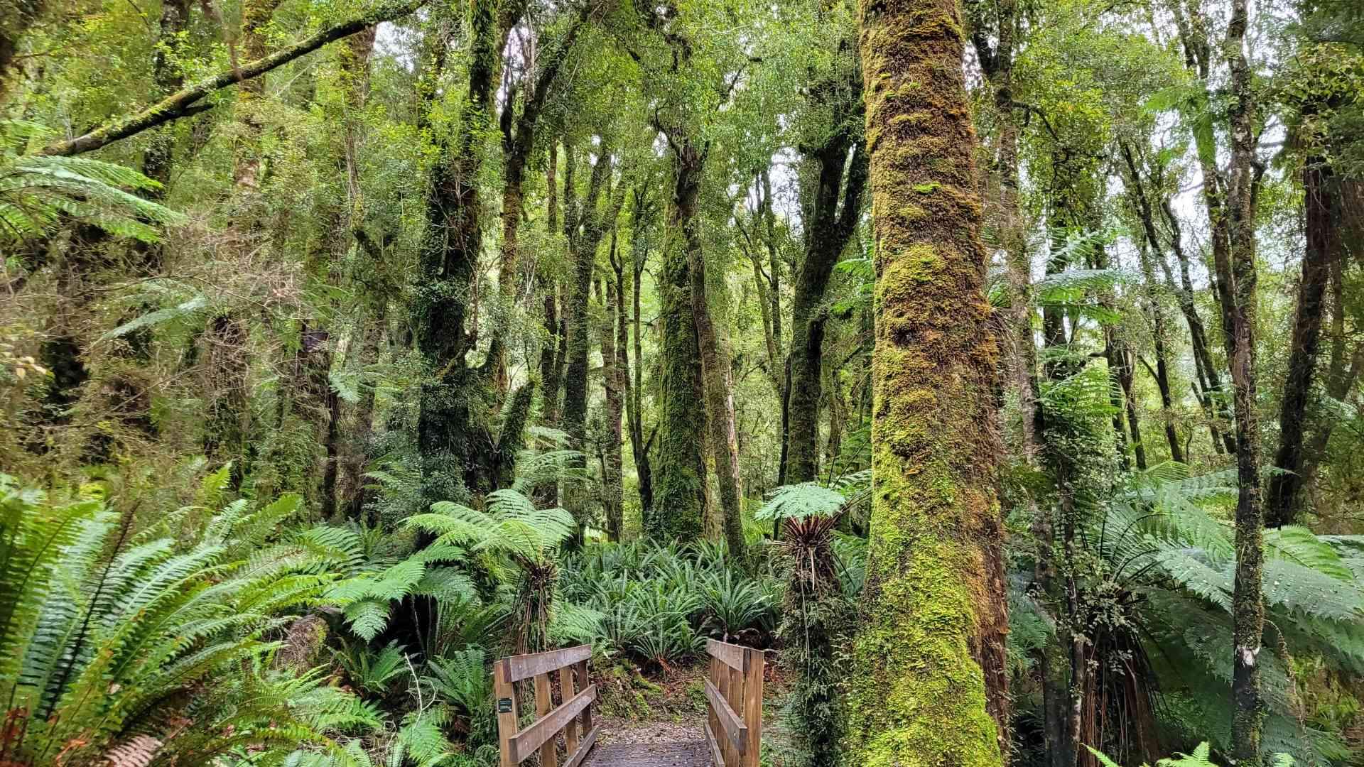 Families of Miners Killed in the Pike River Tragedy Have Opened a New ...