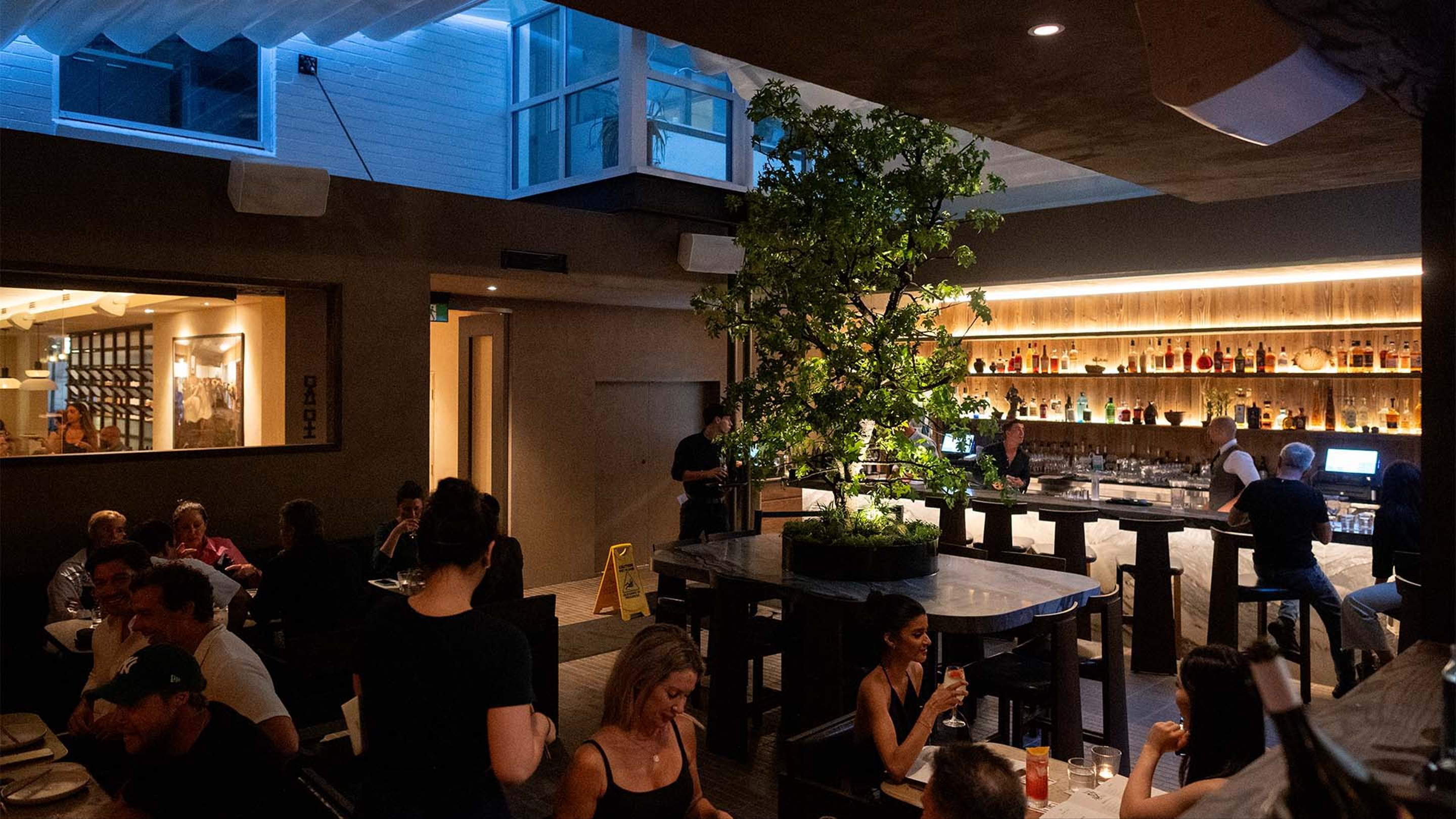 Tanuki, Double Bay Review
