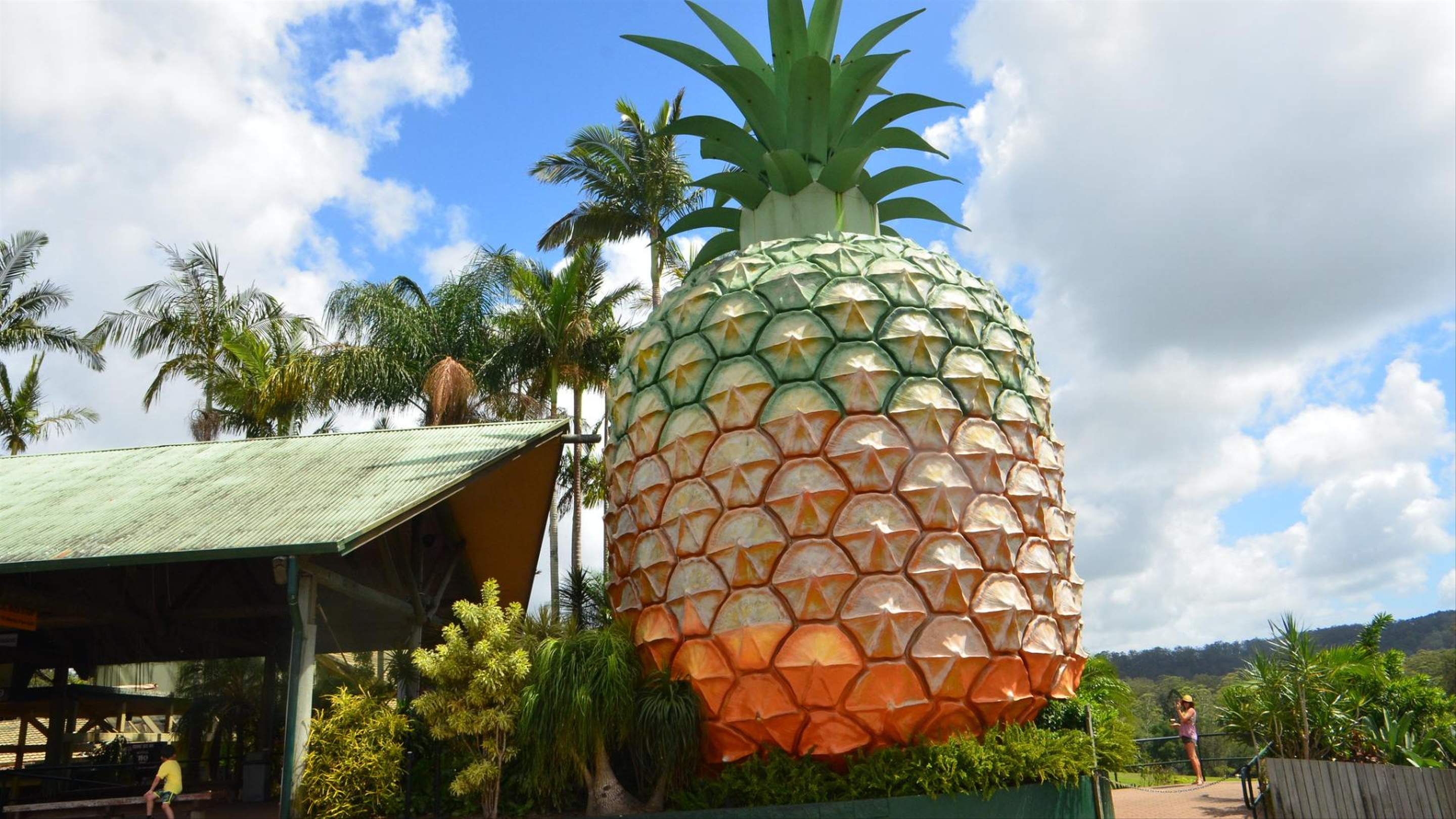 The Big Pineapple Festival Is Returning to the Sunshine Coast in 2024 ...