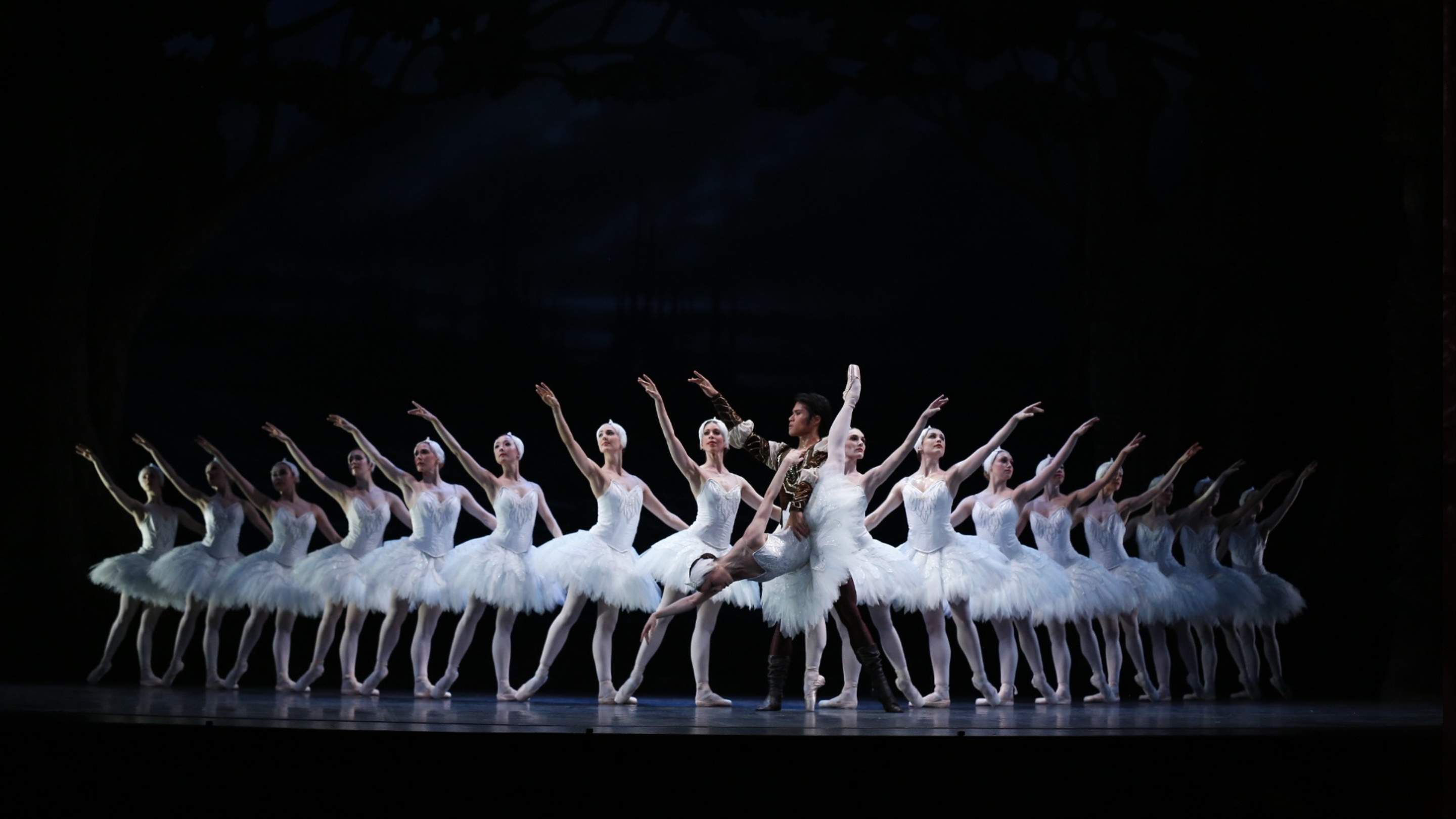 The Royal New Zealand Ballet Will Perform 'Swan Lake' Across Aotearoa ...