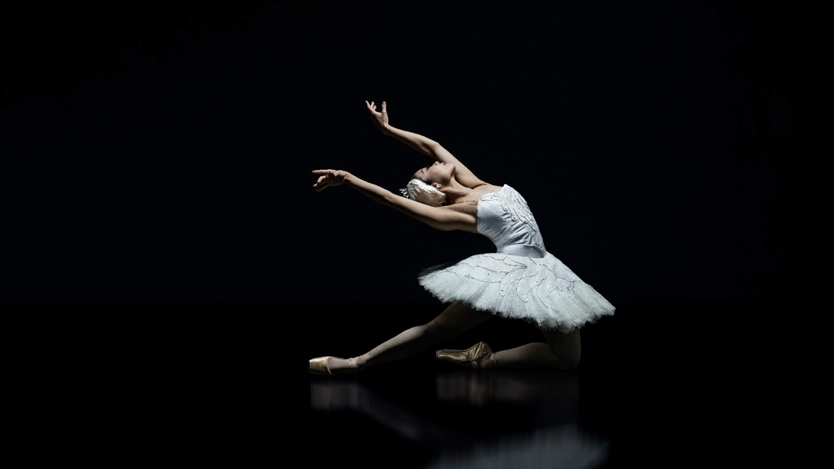 The Royal New Zealand Ballet Will Perform 'Swan Lake' Across Aotearoa ...