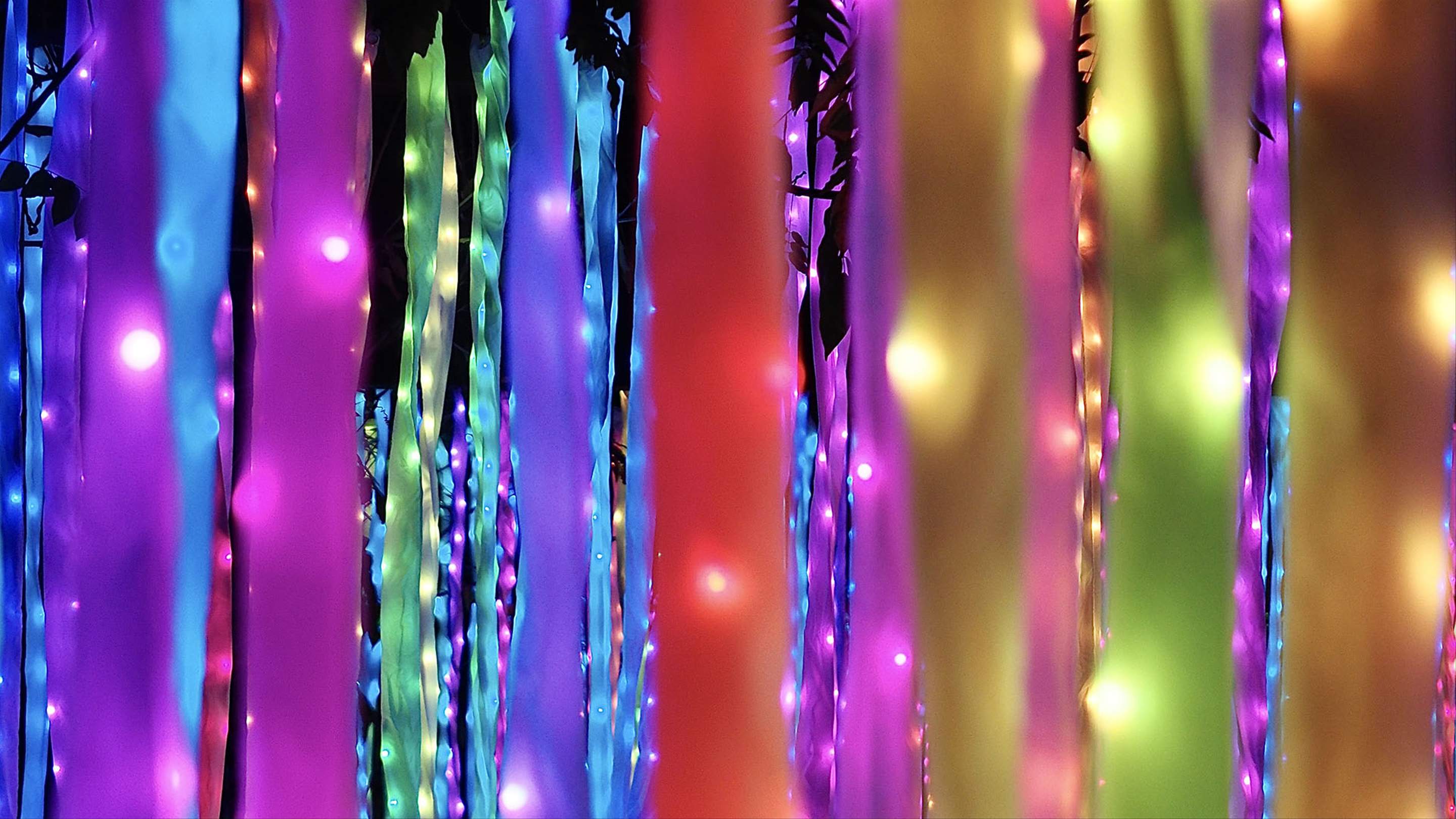 Dark Spectrum at Vivid: All the Details