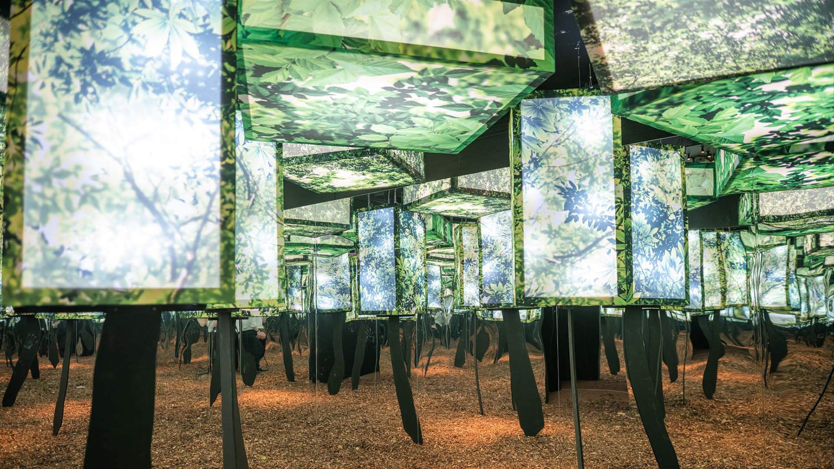 An Interactive Multi-Sensory Experience That's All About Making You ...