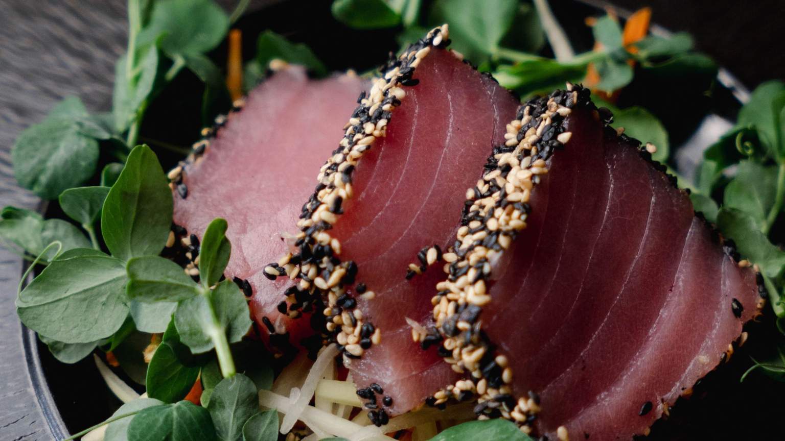 Luna Lu, The Rocks Review