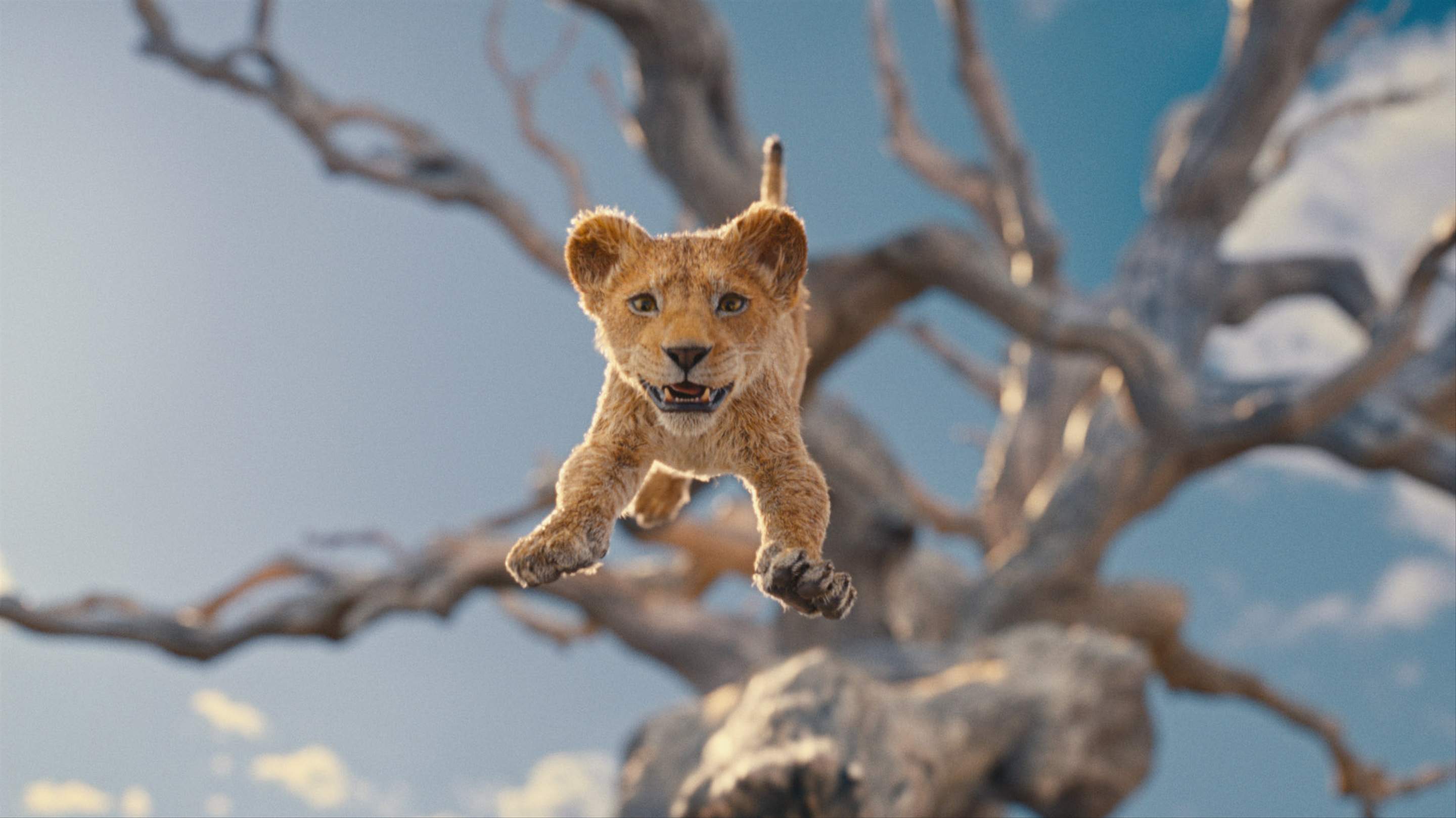 It's the Circle of Cinema: The First Trailer for 'Mufasa: The Lion King ...