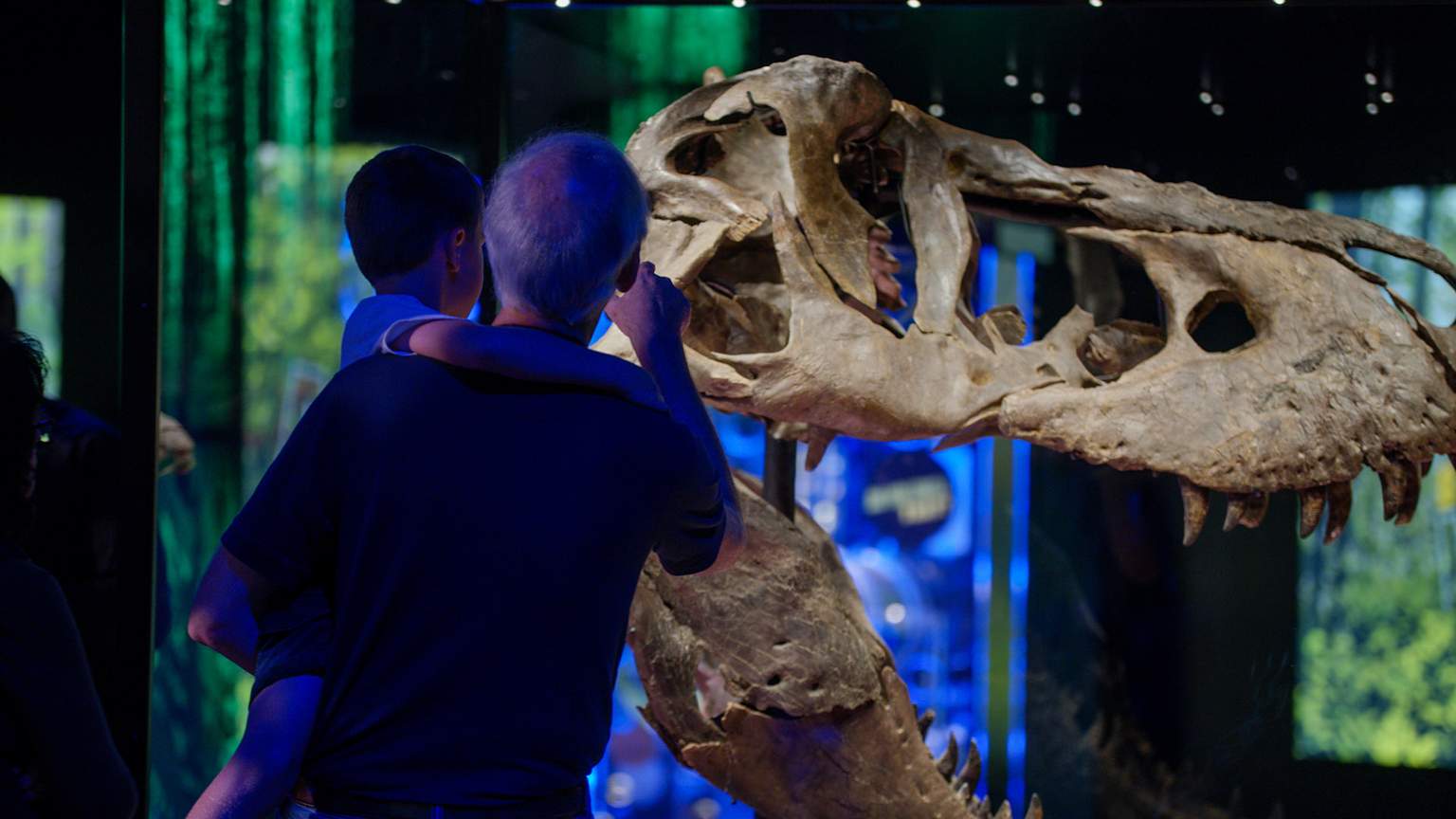 One of the Biggest and Most-Complete Tyrannosaurus Rex Fossils in the ...