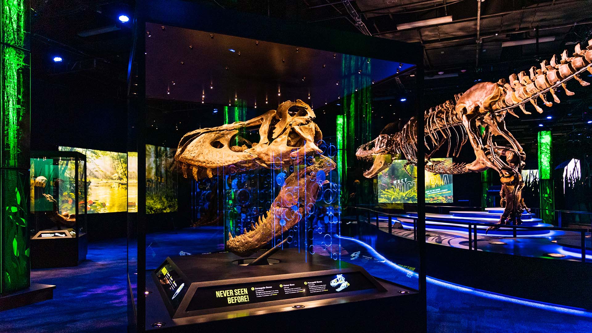 Victoria the T. Rex, Melbourne: All the Details