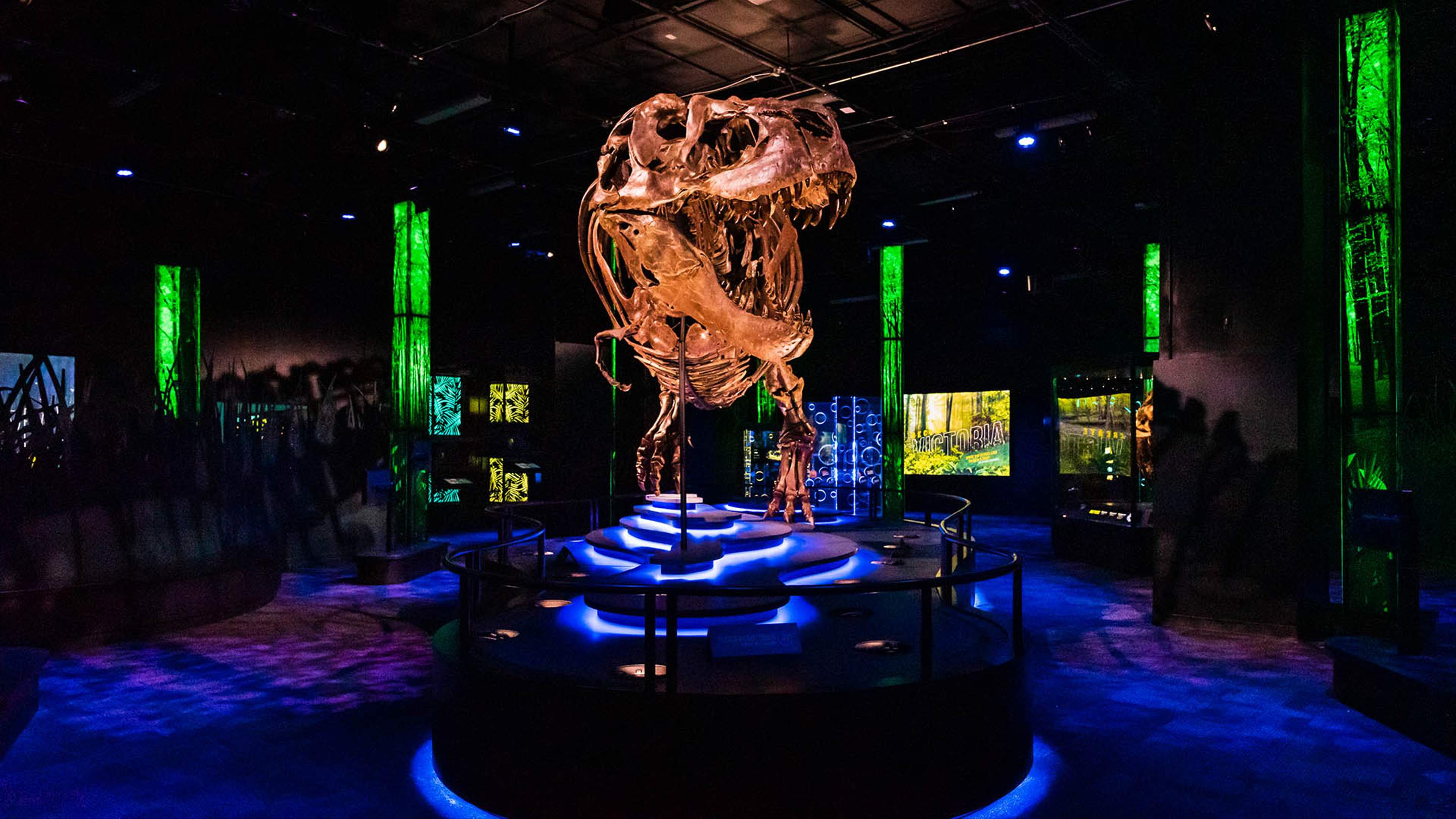 Victoria the T. Rex, Melbourne: All the Details