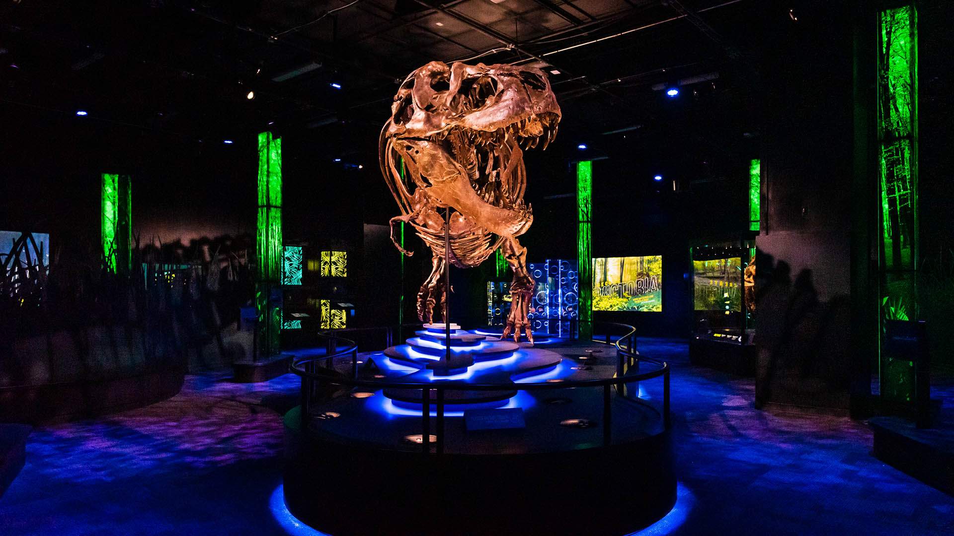One of the Biggest and Most-Complete Tyrannosaurus Rex Fossils in the ...