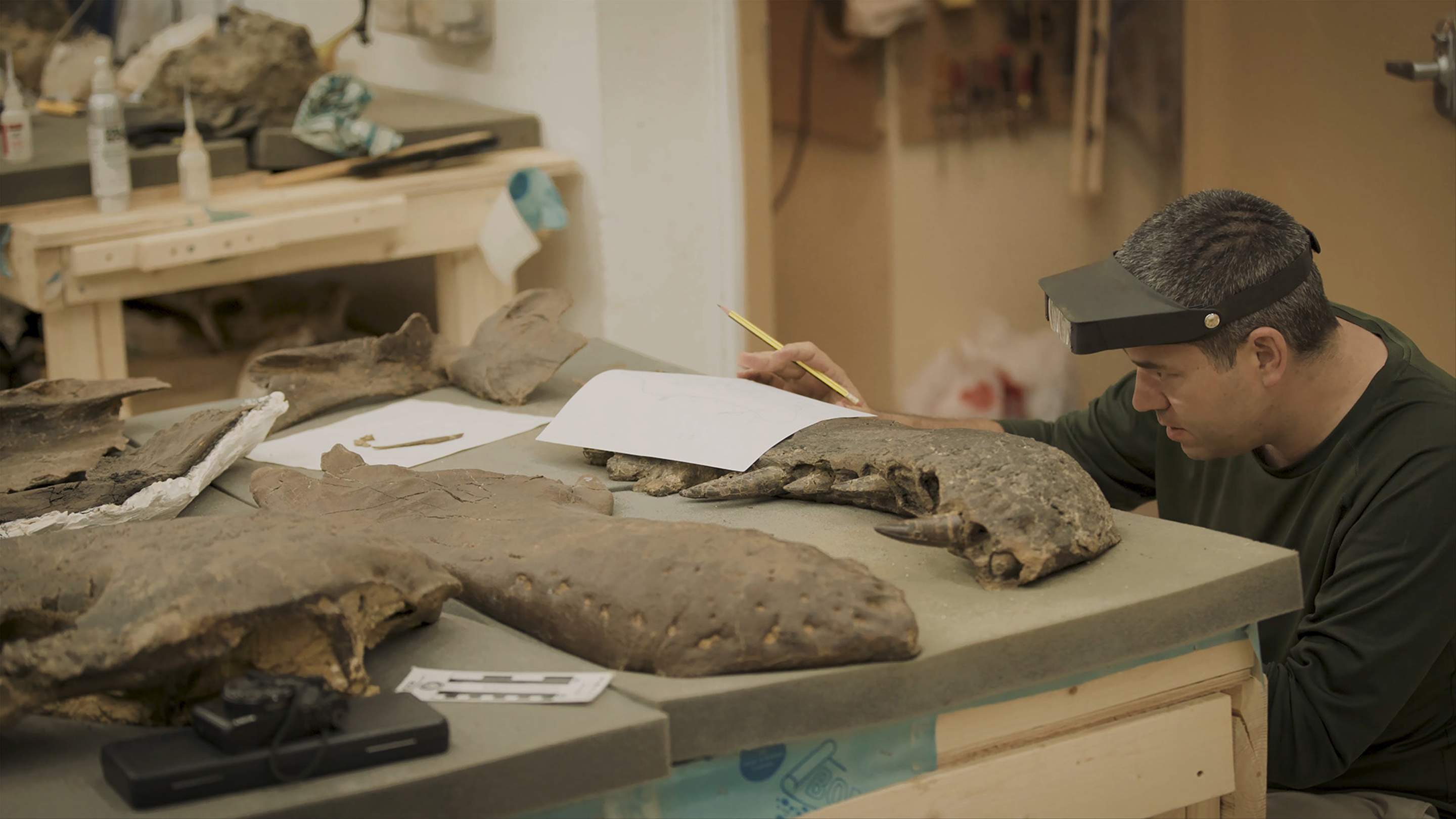 One of the Biggest and Most-Complete Tyrannosaurus Rex Fossils in the ...