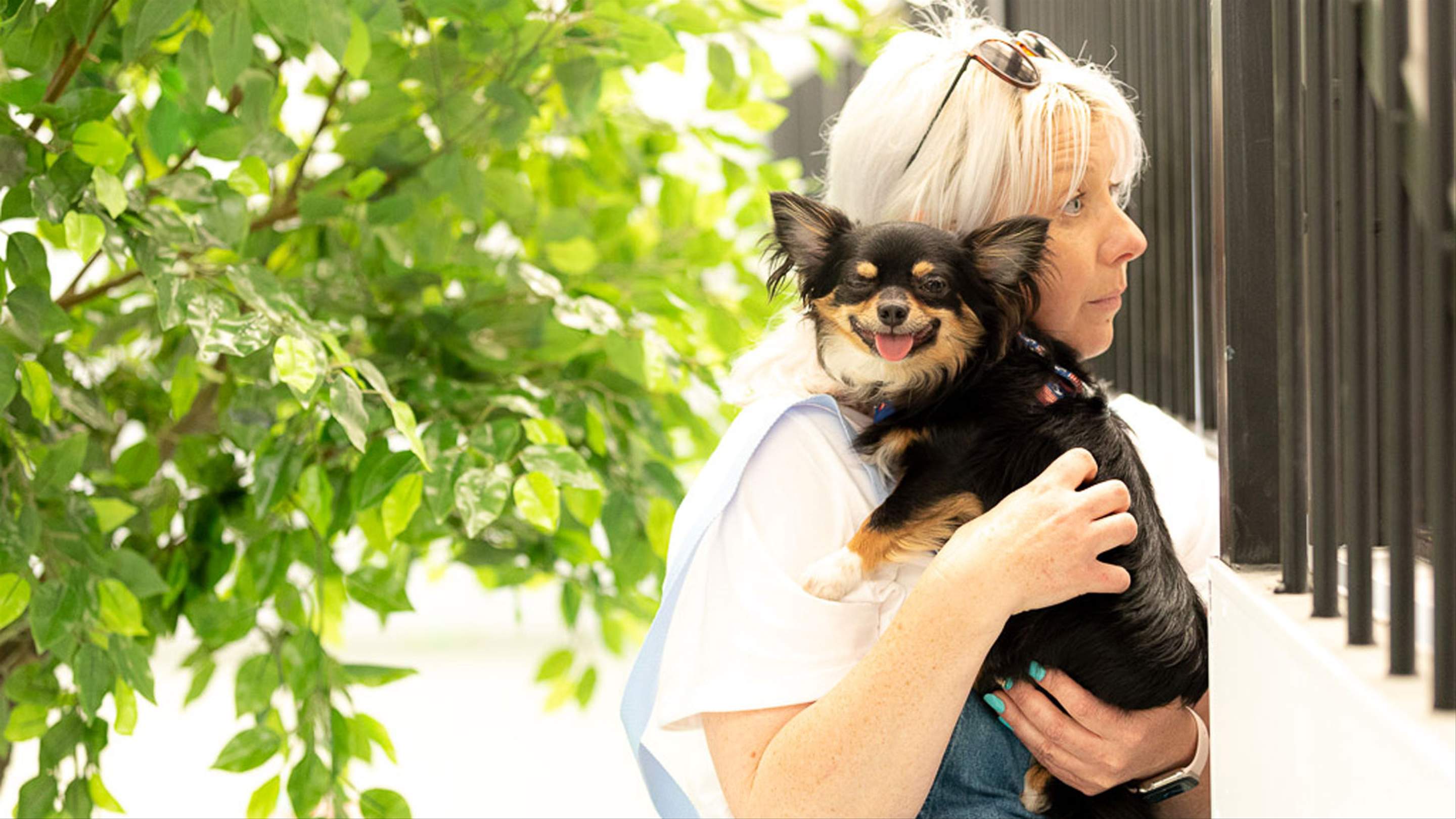 Mama Paws, Melbourne: All the Details