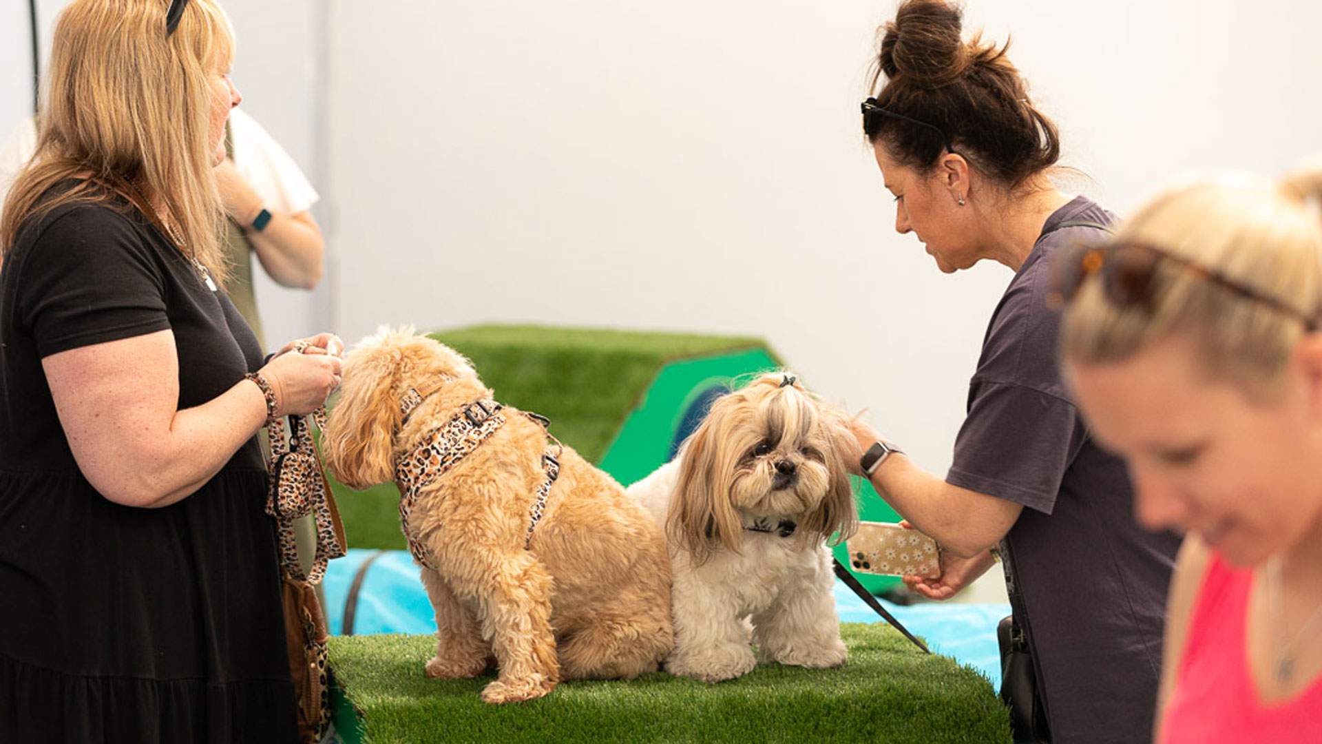 Mama Paws, Melbourne: All the Details