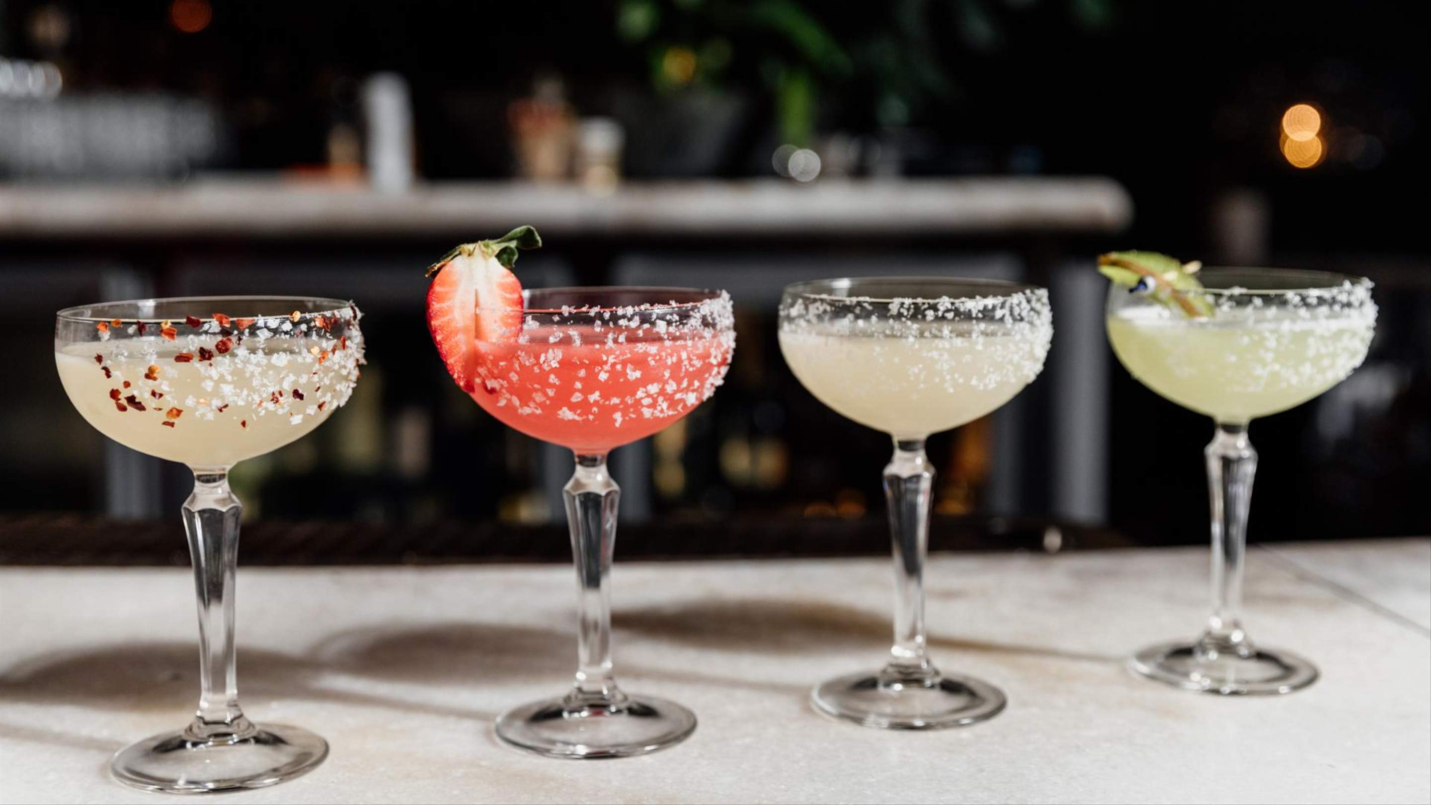 ¡Viva Agave! - Concrete Playground