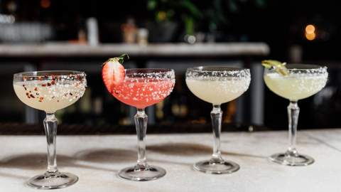 ¡Viva Agave! - Concrete Playground
