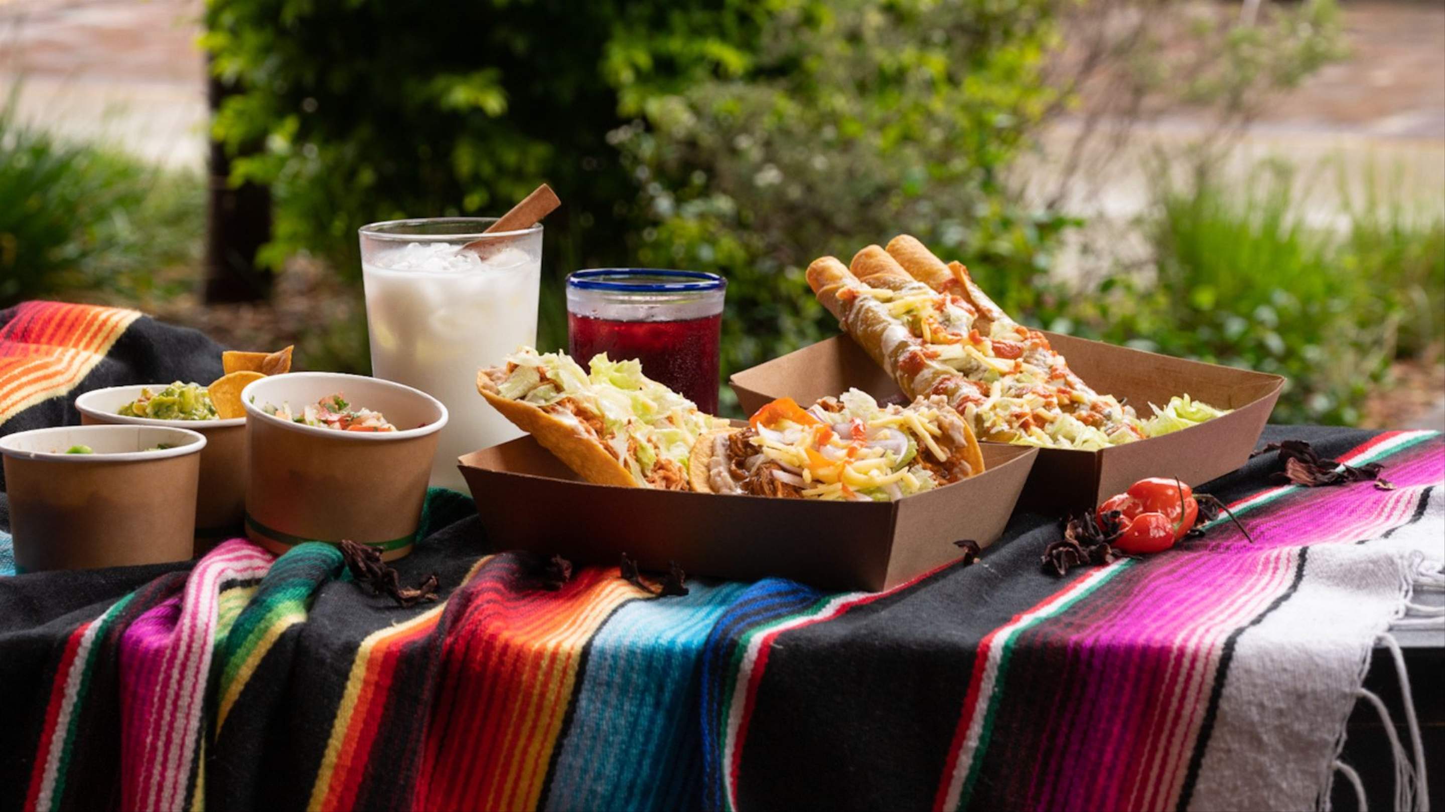 Coyoacán Social Pop-Up Cantina at Vivid, Sydney: All the Details