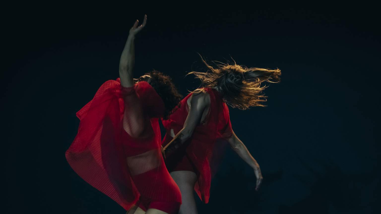 Bleach* Festival, Gold Coast: All the Details