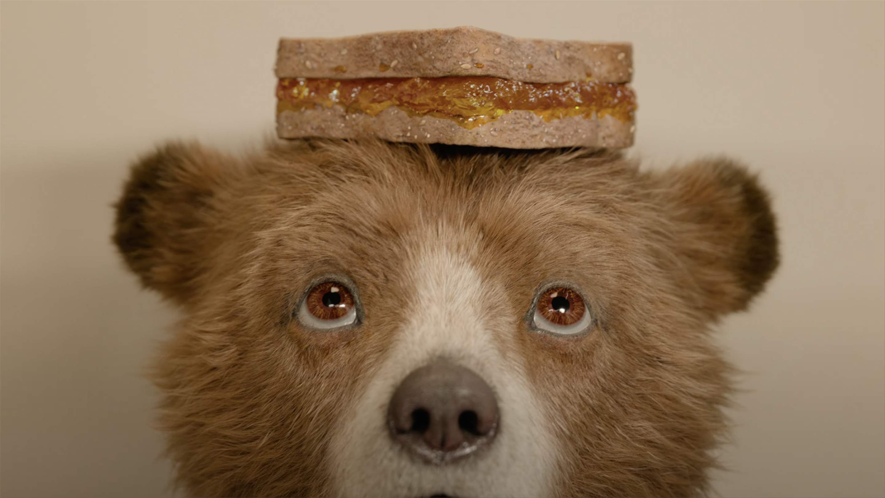 Break Out the Marmalade Sandwiches: Everyone's Favourite Bear Is Back in the First 'Paddington ...