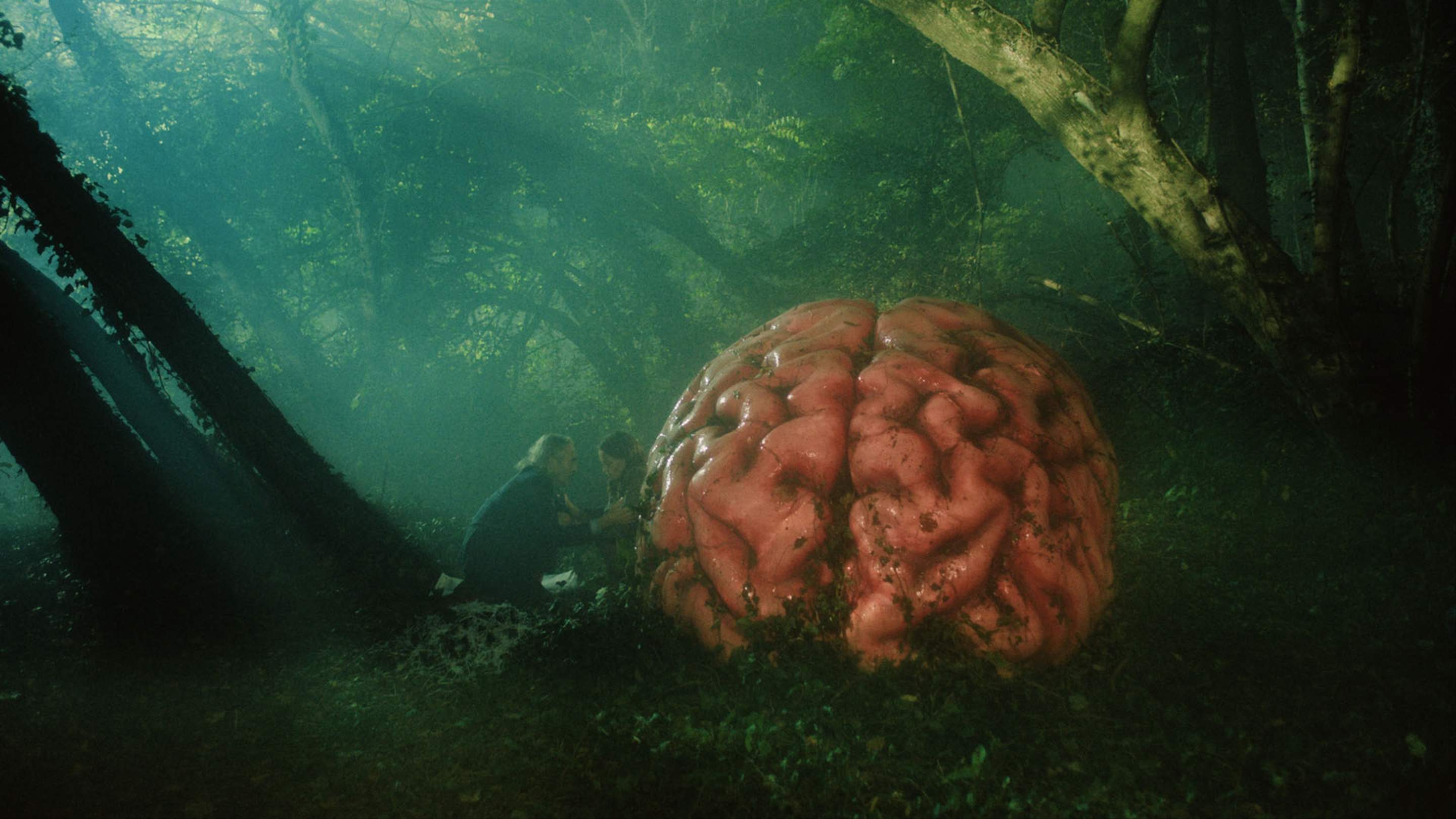 Sydney Film Festival Has Expanded Its 2024 Program with Eight New ...